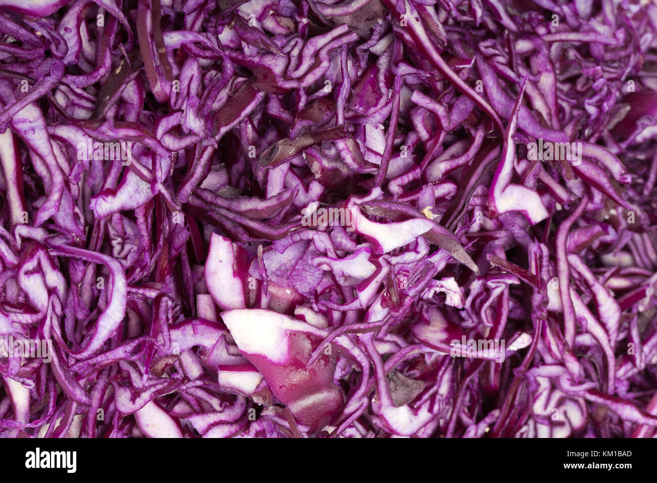 Chou Rouge Banque d'image et photos - Alamy