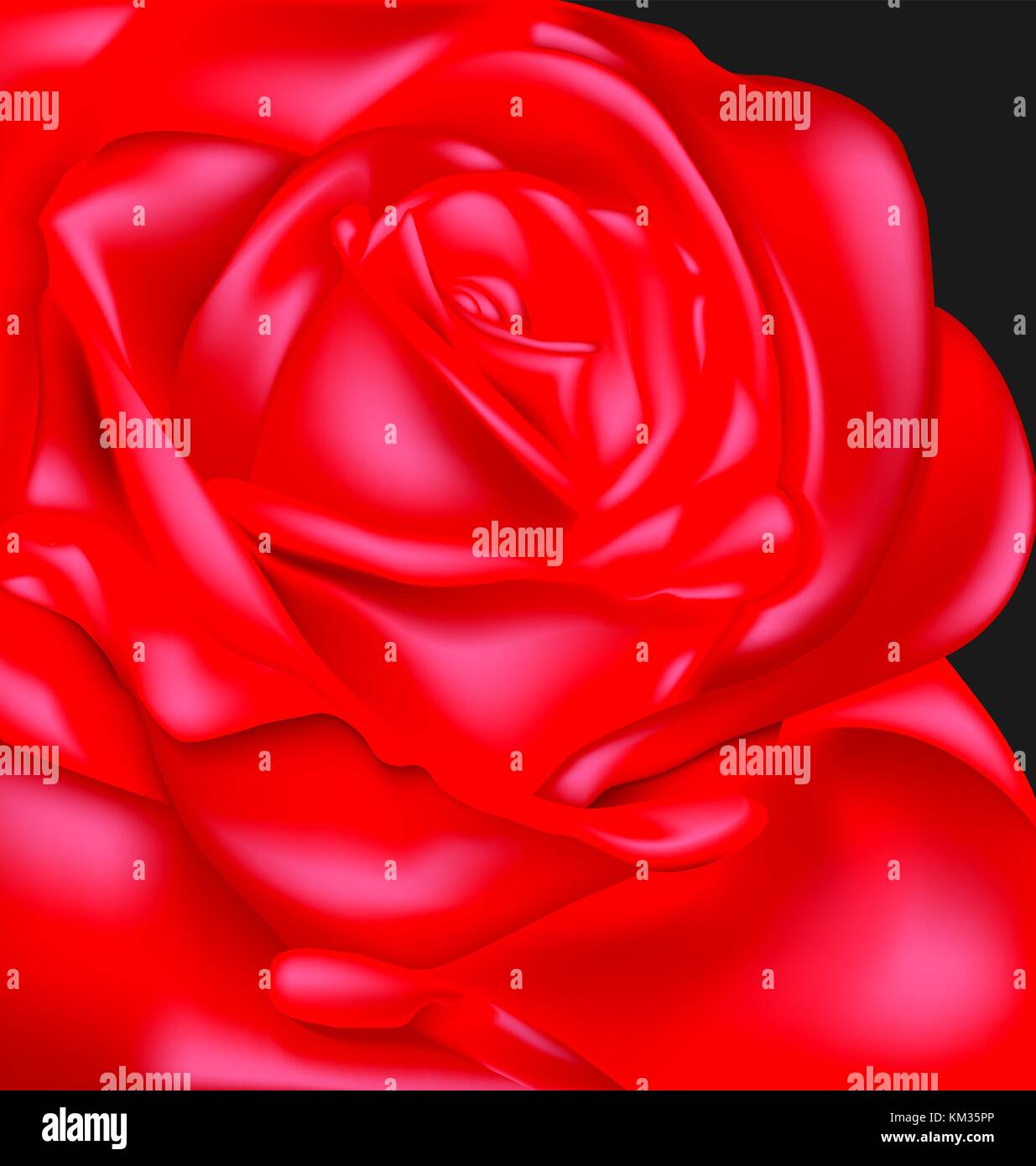 De rose Banque d'images vectorielles - Alamy