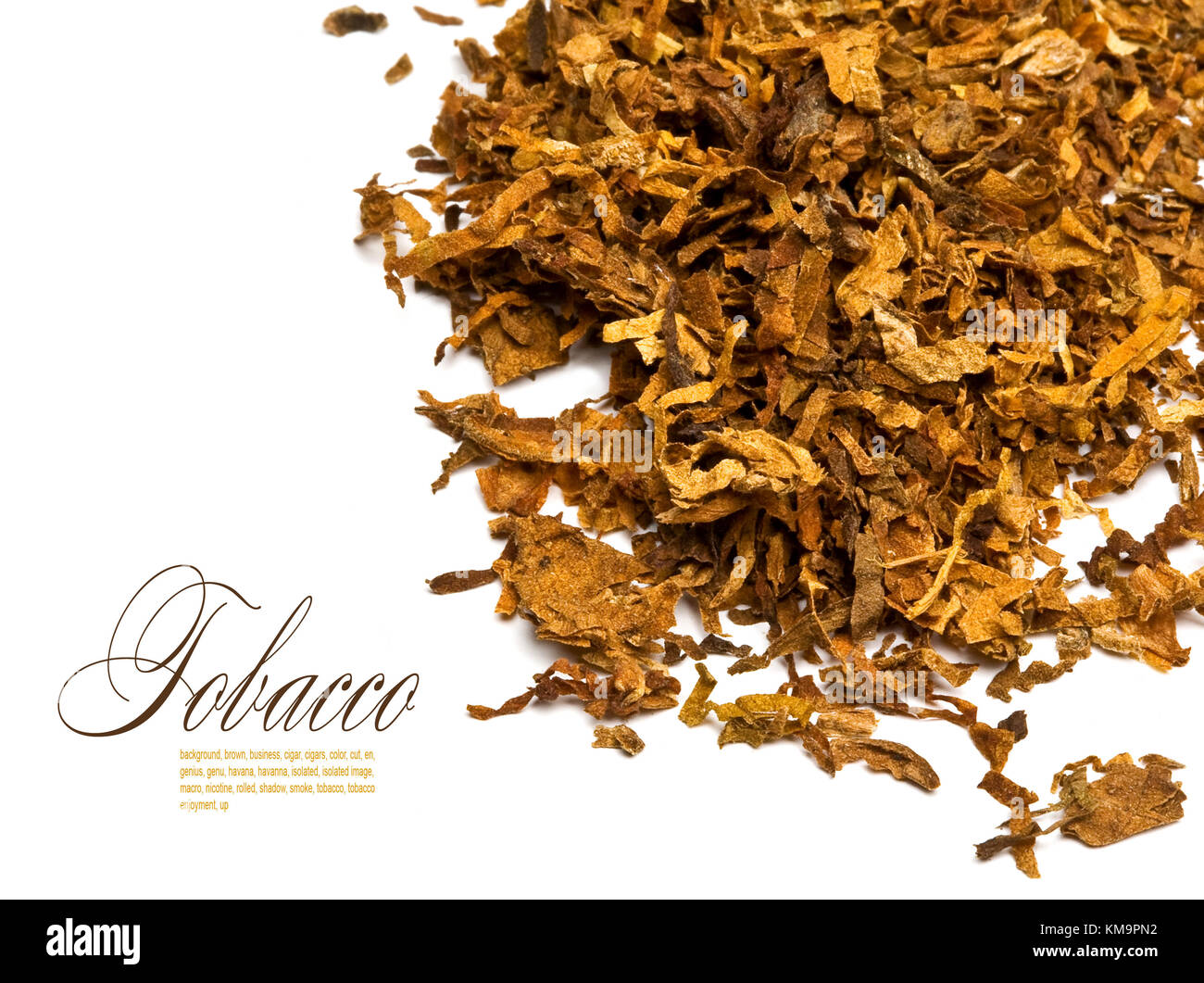 Couper les feuilles de tabac Banque de photographies et d’images à ...