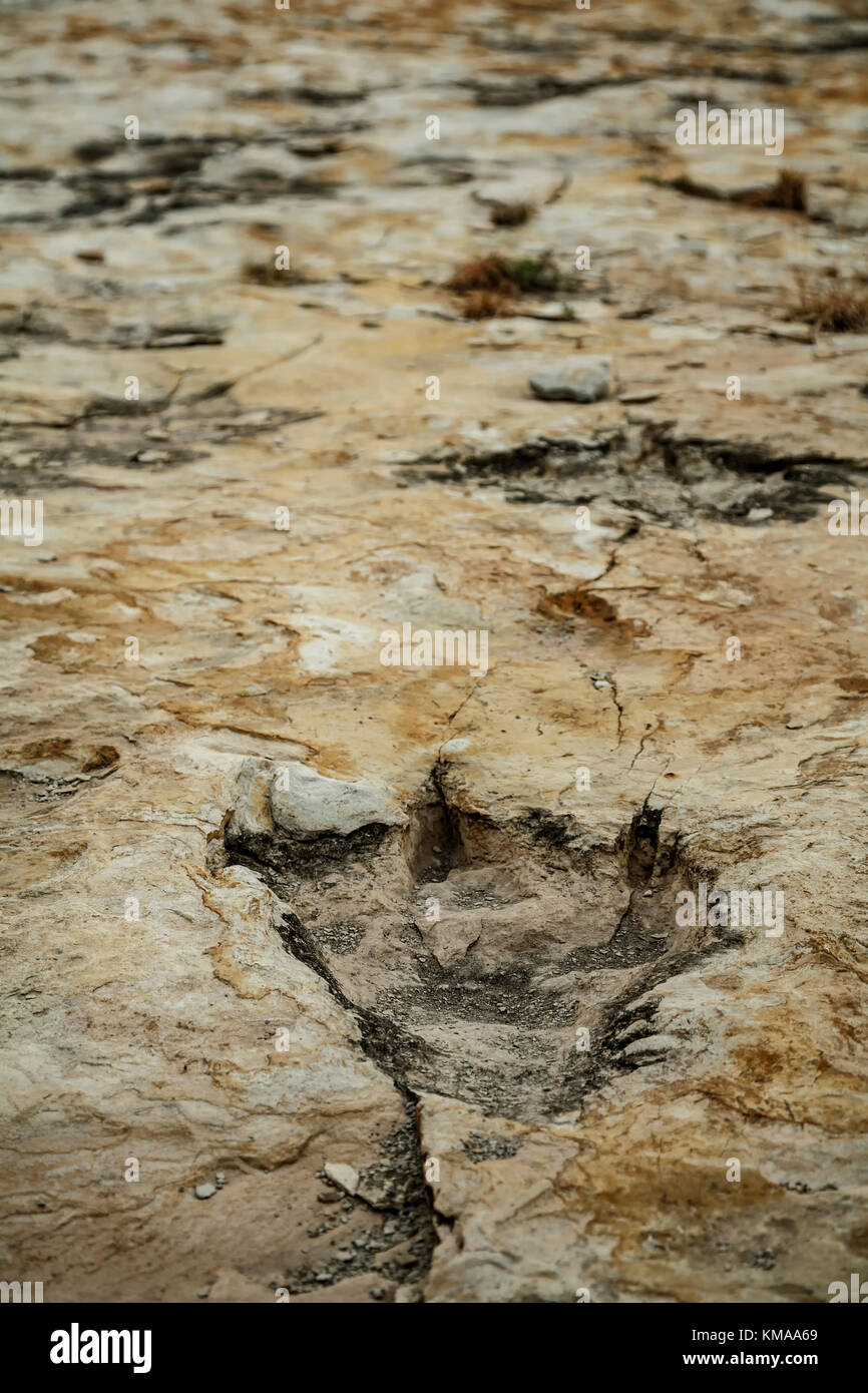 Dinosaurs tracks Banque de photographies et d’images à haute résolution ...