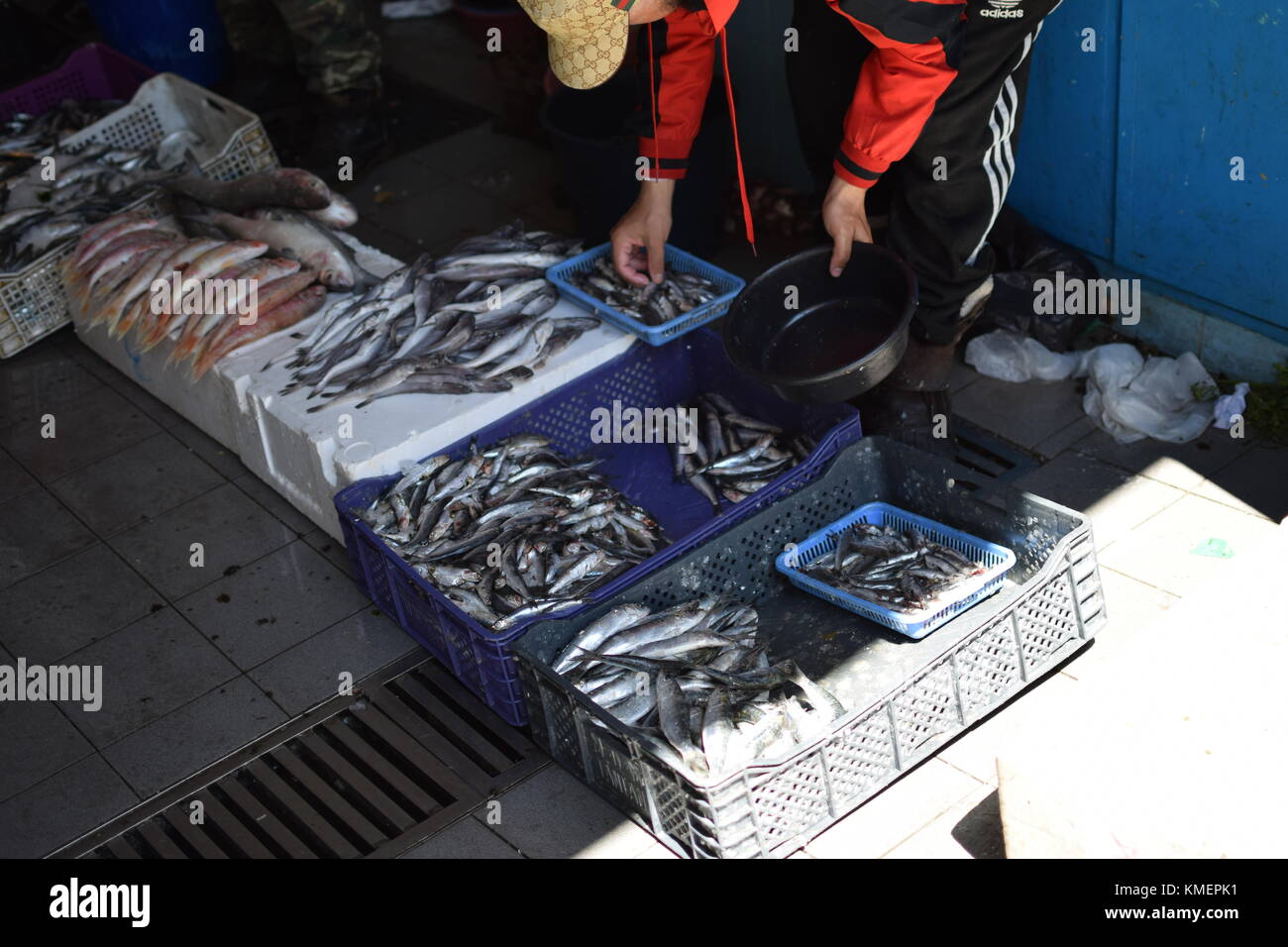 Marché de poisson / souk / socco Tanger, Maroc Photo Stock - Alamy