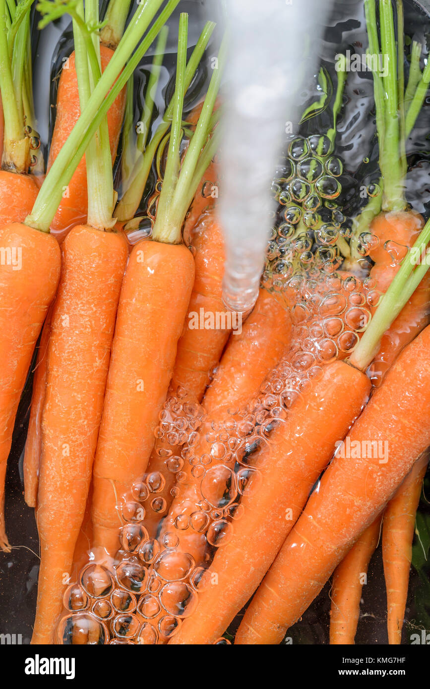 Mini carottes Banque de photographies et d’images à haute résolution ...