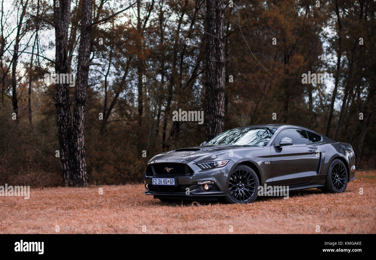 Ford mustang v8 engine Banque de photographies et d’images à haute résolution - Alamy