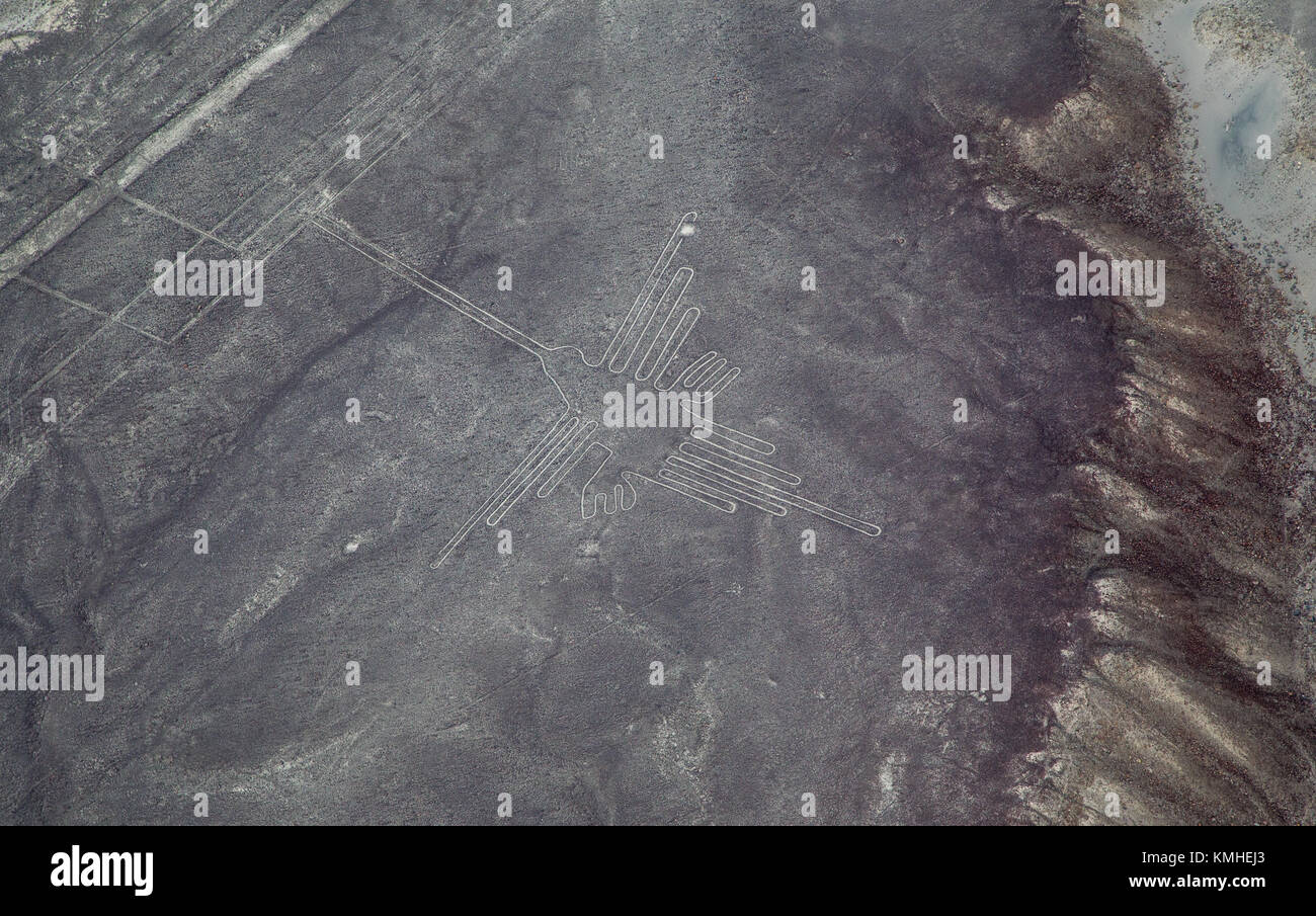 Photographie aérienne du colibri, l'un des lignes de Nazca, les grands ...