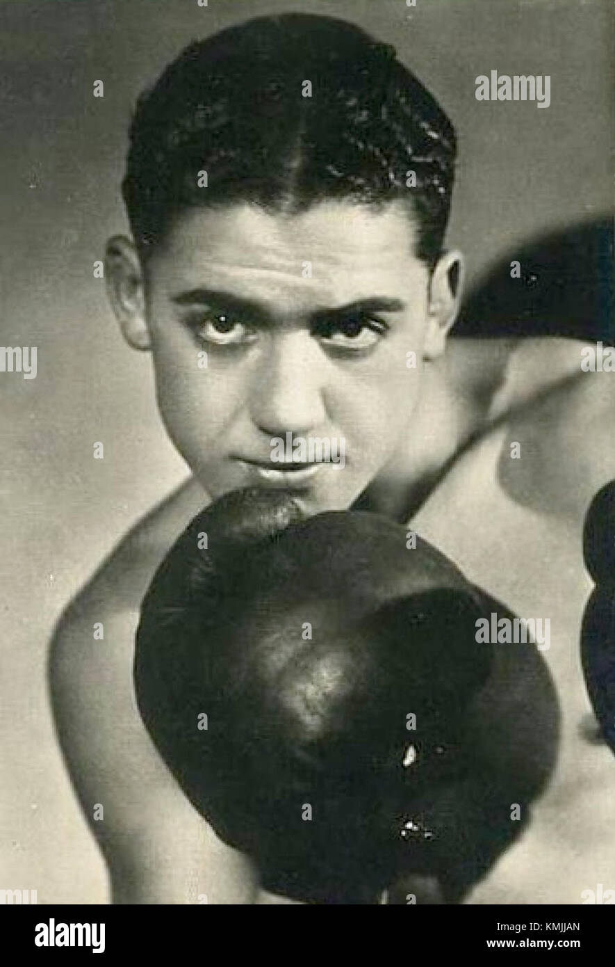 Boxer francais Banque de photographies et d’images à haute résolution ...