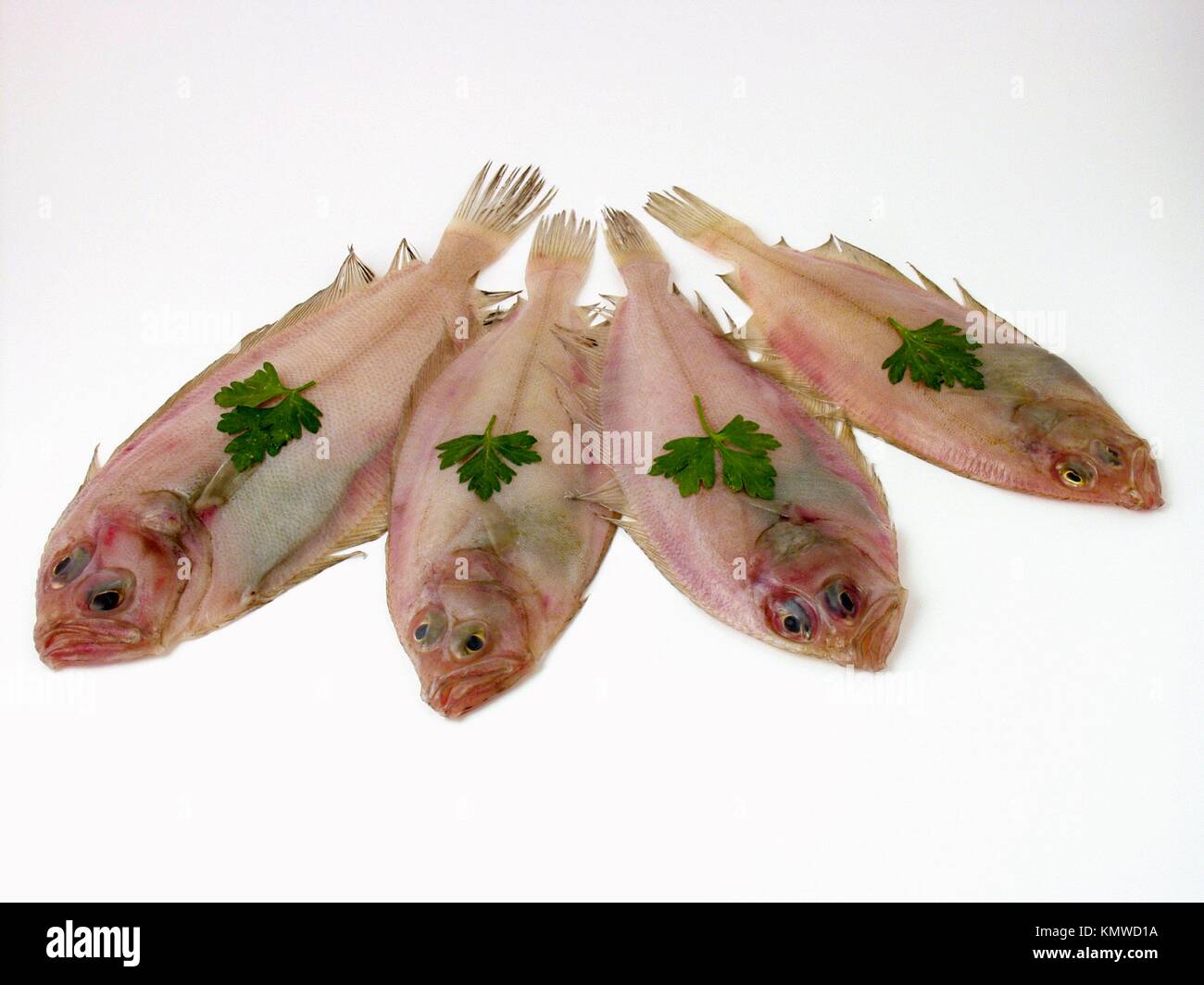 Poisson mangeable Banque de photographies et d’images à haute ...