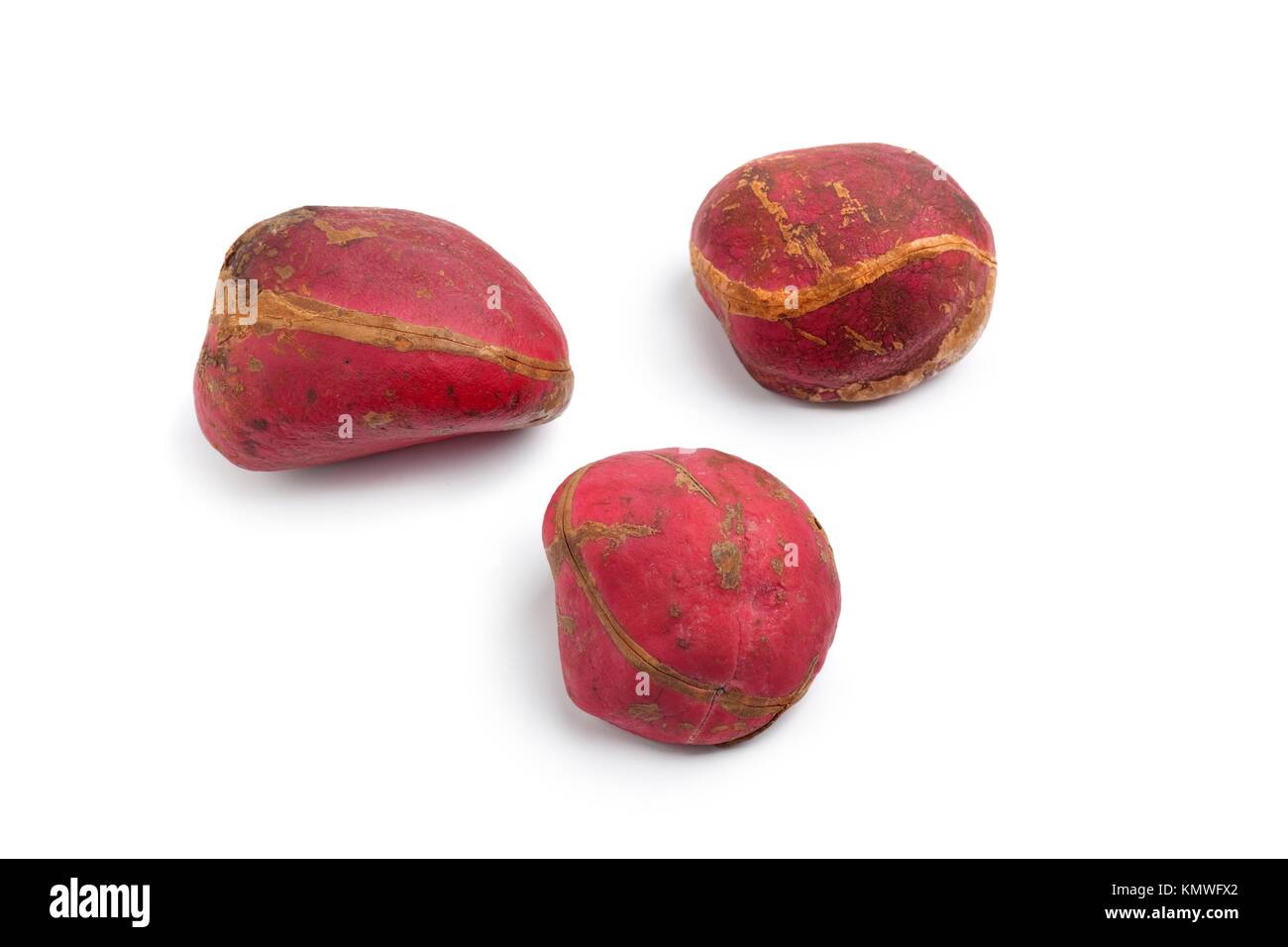 Kola nut cola acuminata Banque de photographies et d’images à haute ...