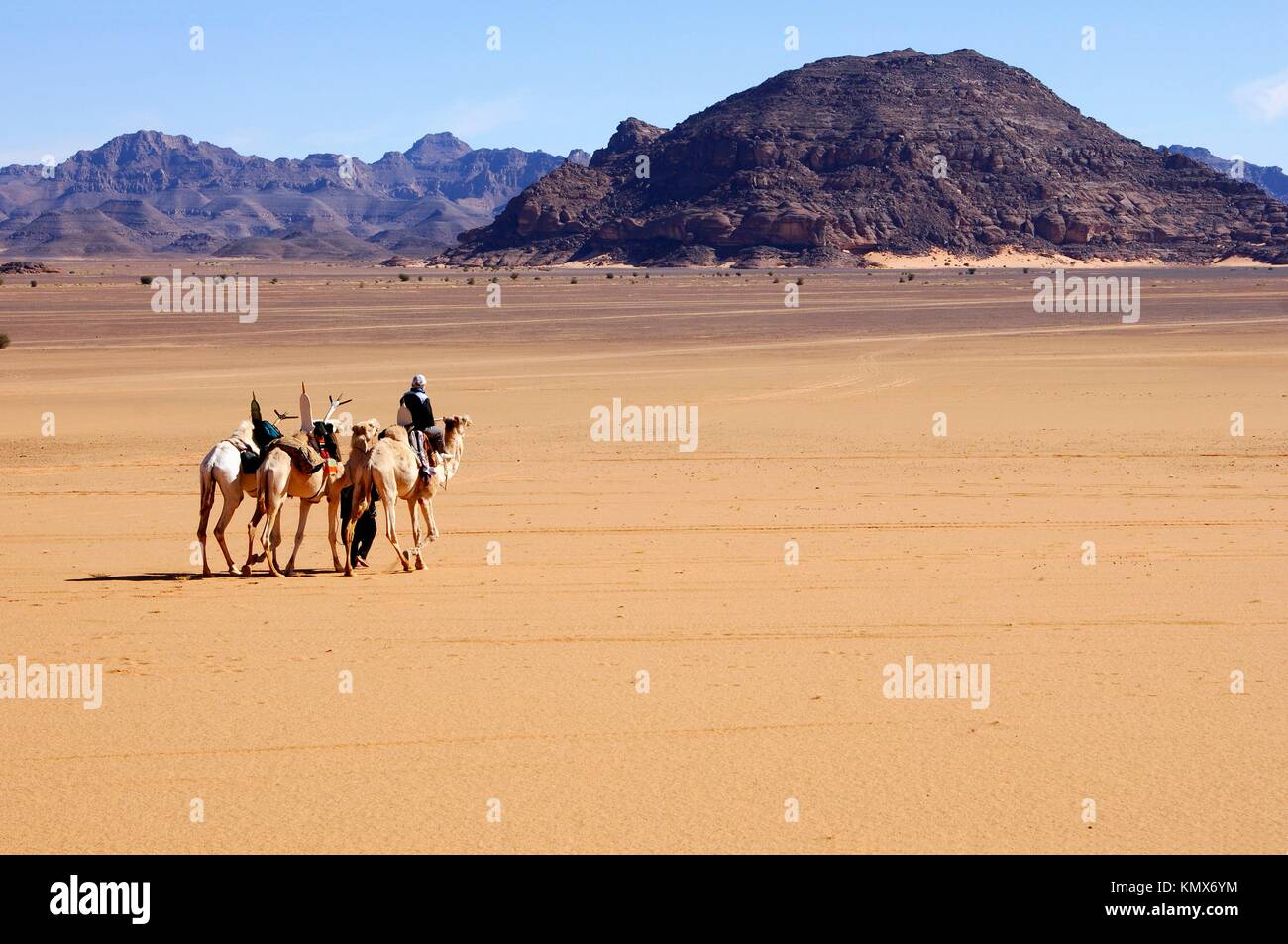 Mehari dromedary Banque de photographies et d’images à haute résolution ...
