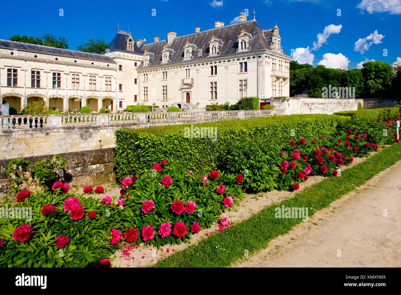 Château de brézé Banque de photographies et d’images à haute résolution ...