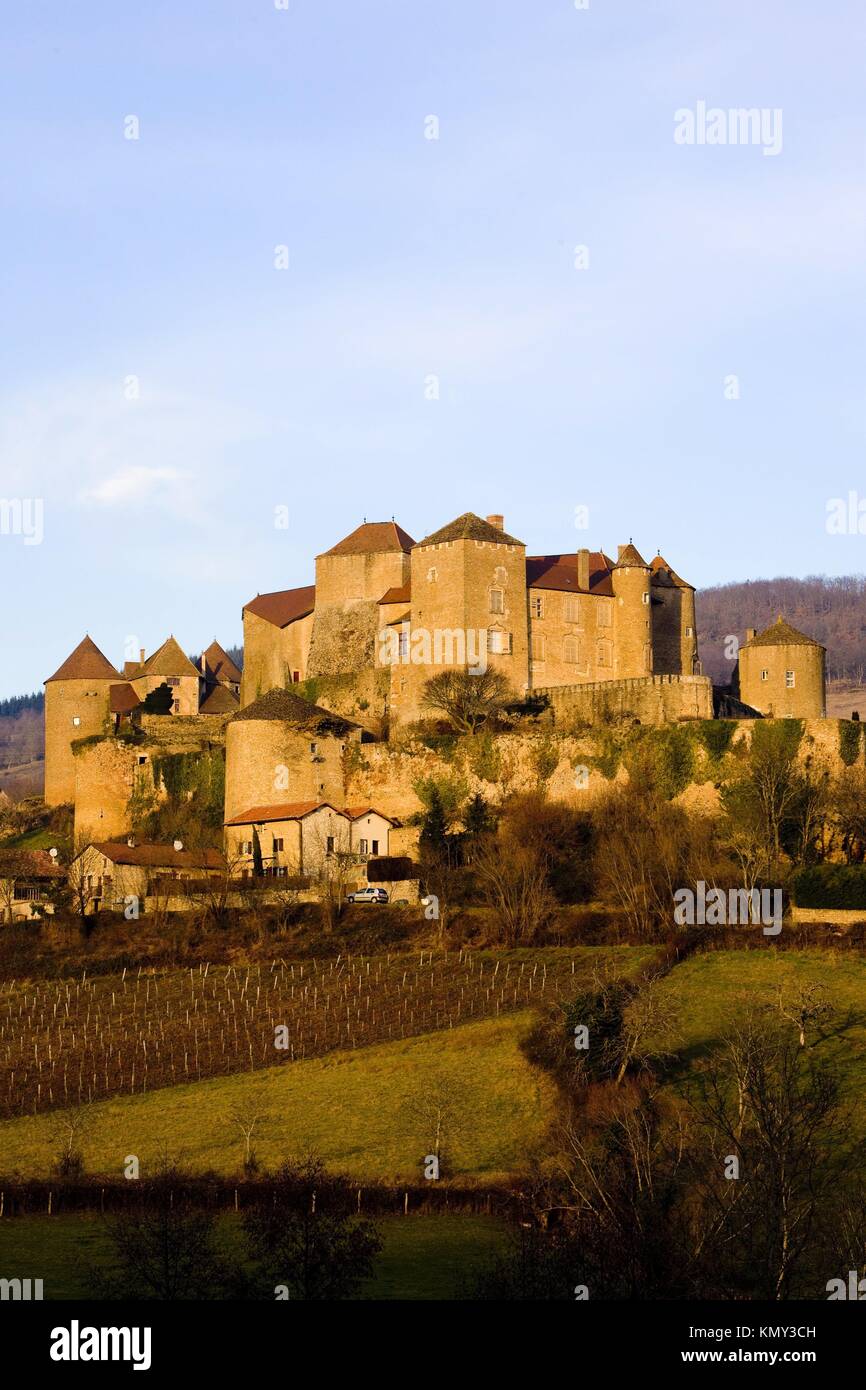 Château De Berze Ou Forteresse De Berze Le Chatel Banque d'image et ...