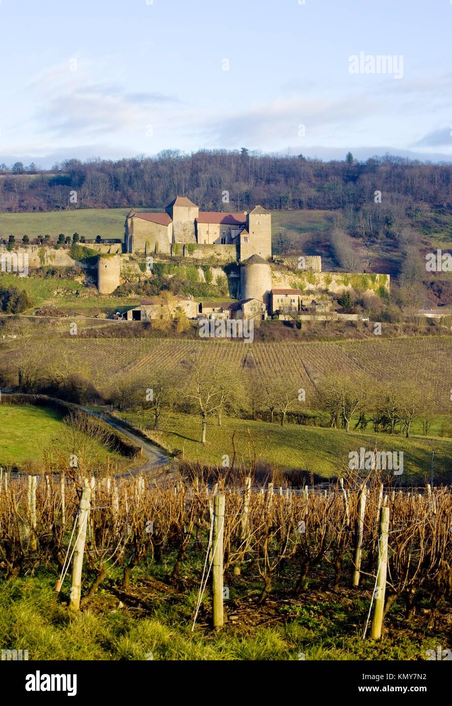 Château De Berze Ou Forteresse De Berze Le Chatel Banque d'image et ...