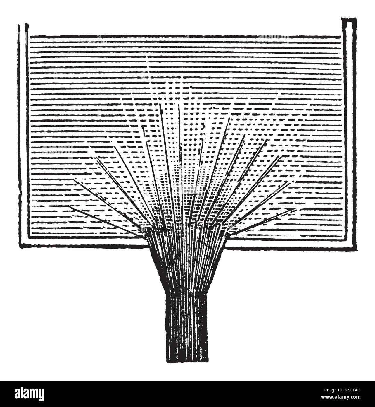 Vena contracta Banque de photographies et d’images à haute résolution ...