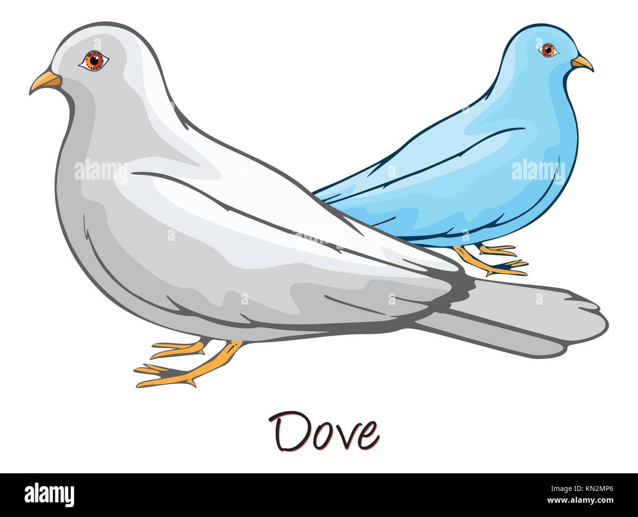 Colombe bleue Banque d'images détourées - Alamy