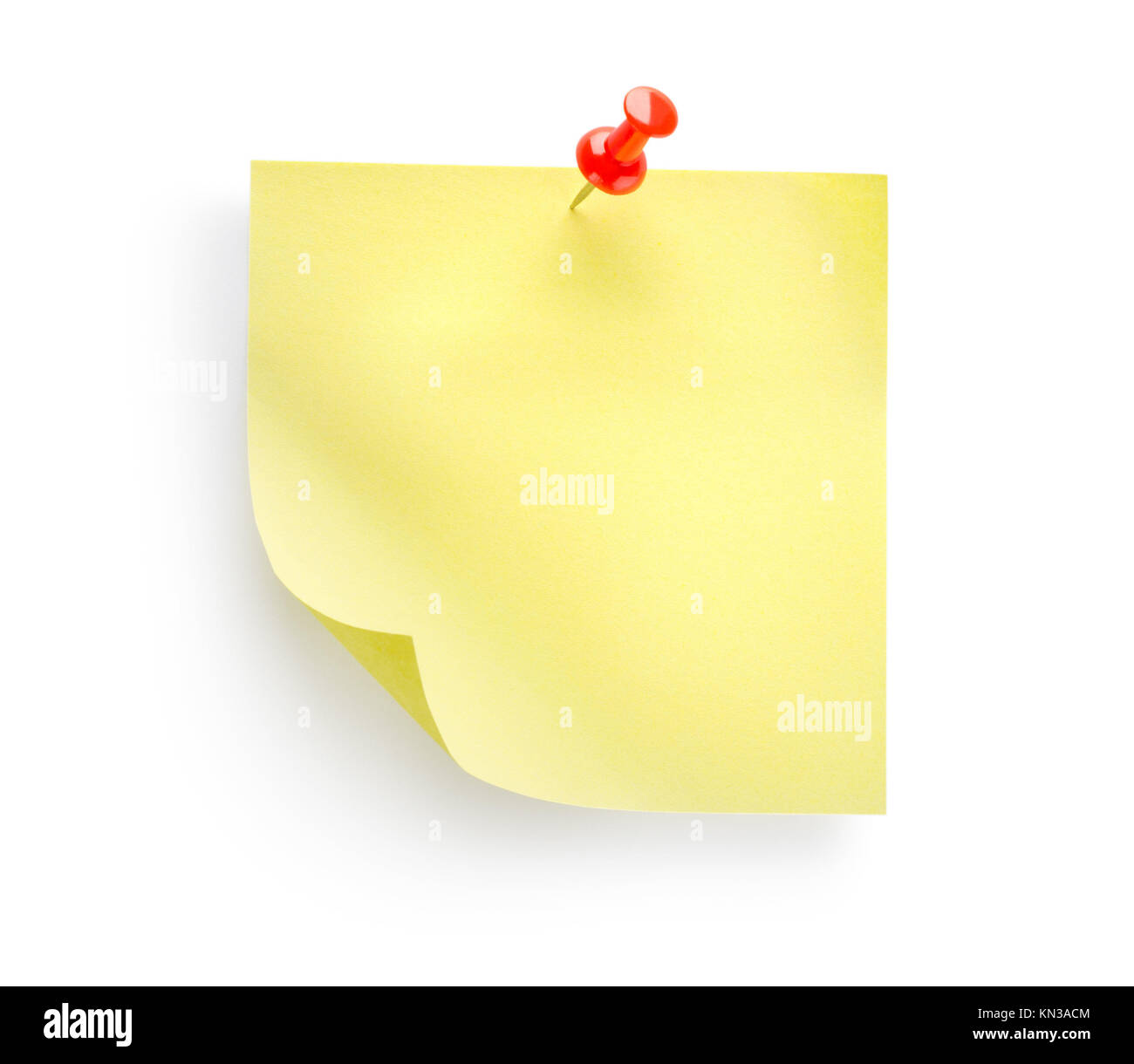 Punaise unique sur fond blanc Banque de photographies et d’images à ...