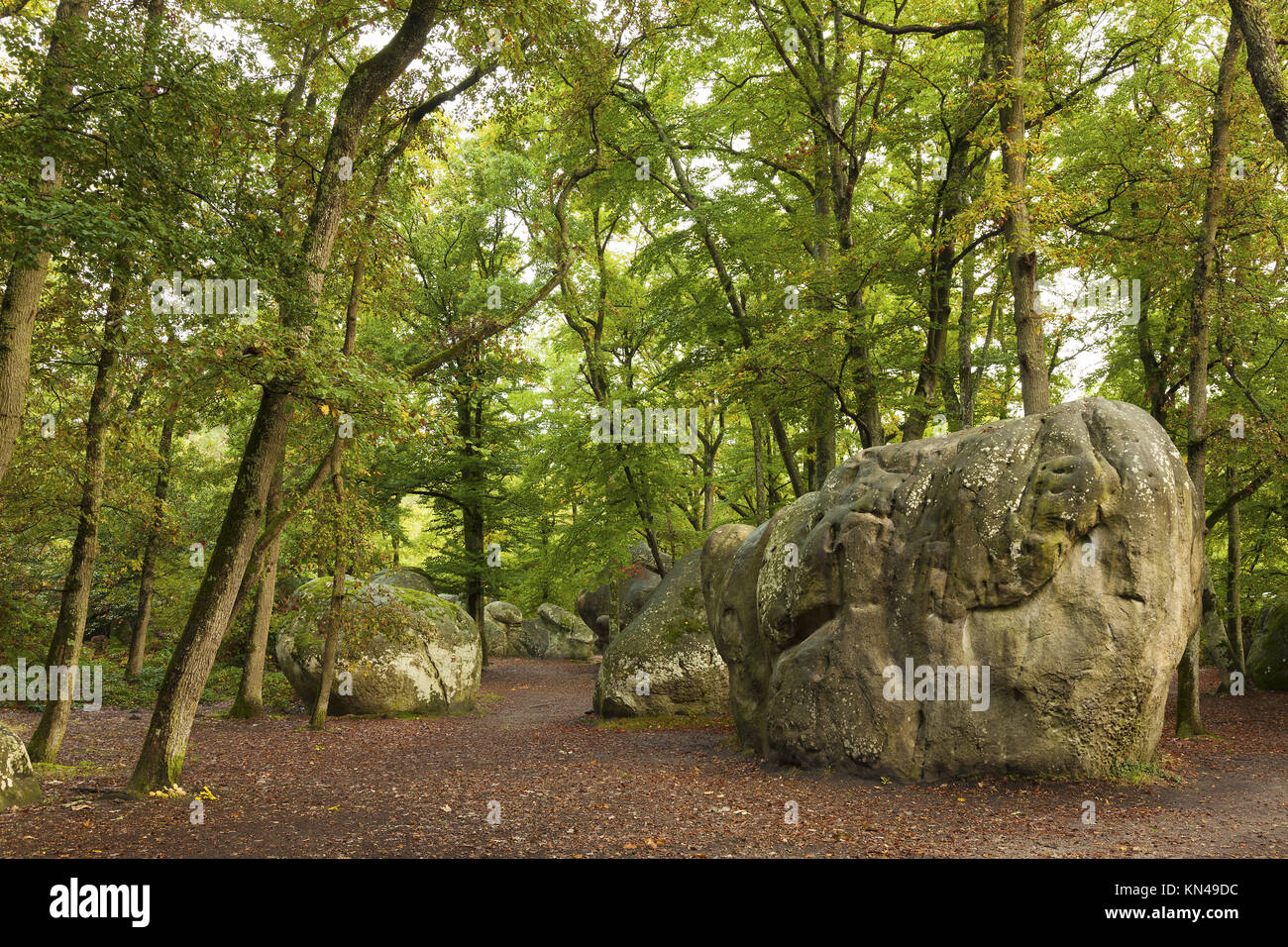 Forêt De Fontainebleau, Rocher Banque d'image et photos - Alamy