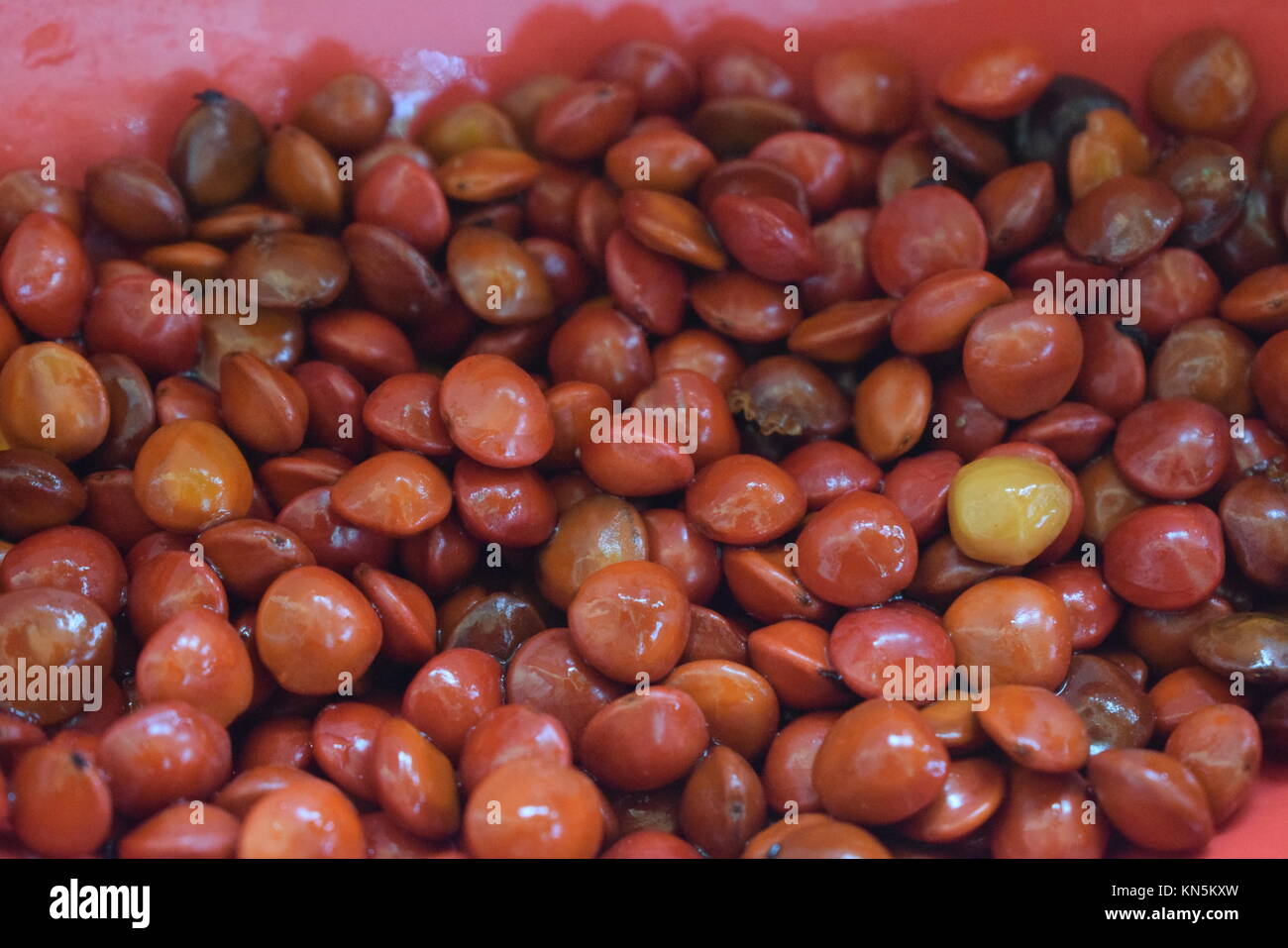 Graines rouges Banque de photographies et d’images à haute résolution ...