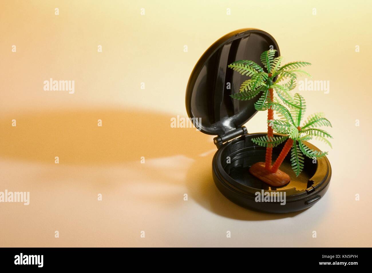 Palmier miniature Banque de photographies et d’images à haute ...