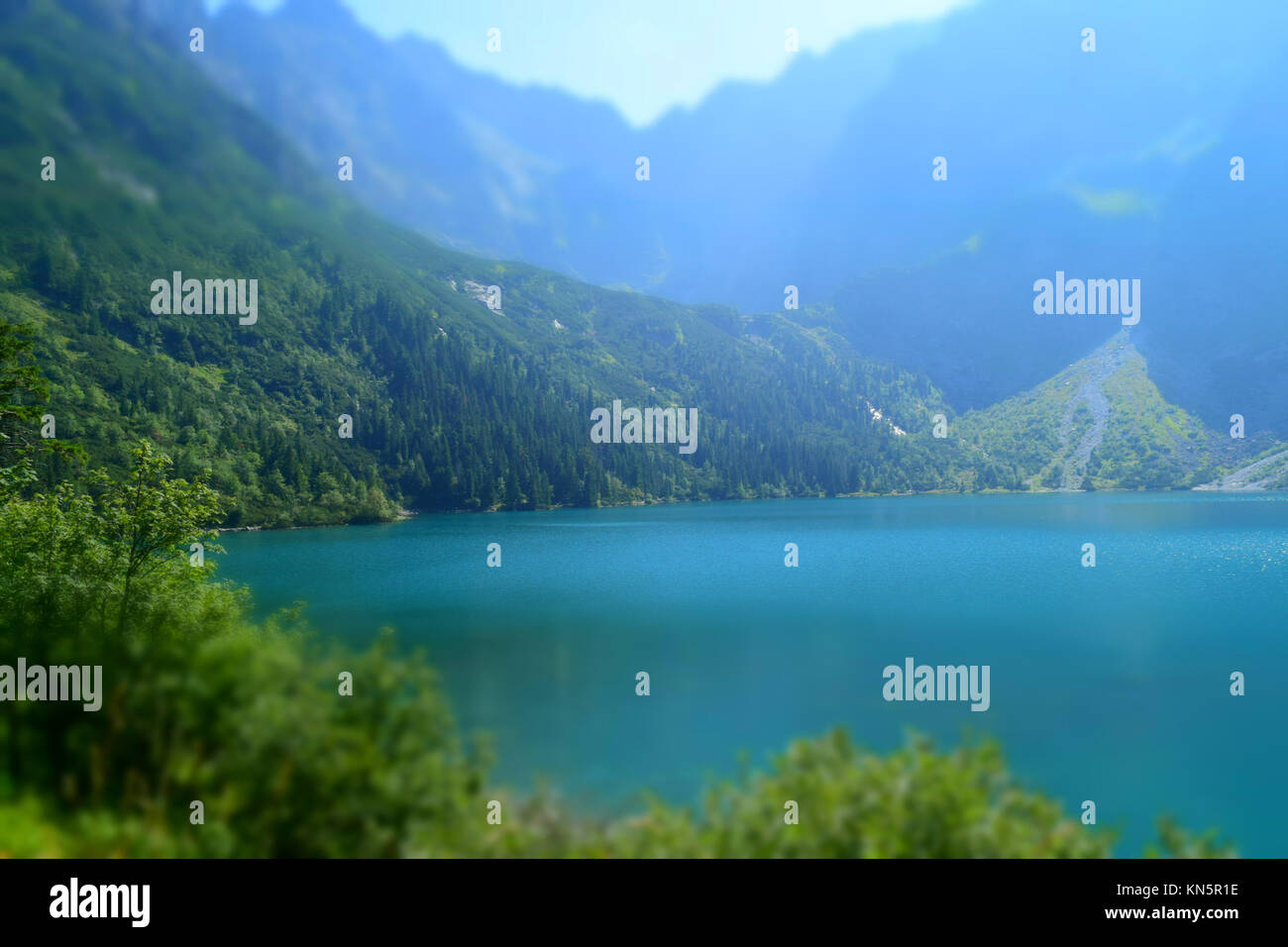 Oko oko Banque de photographies et d’images à haute résolution - Alamy