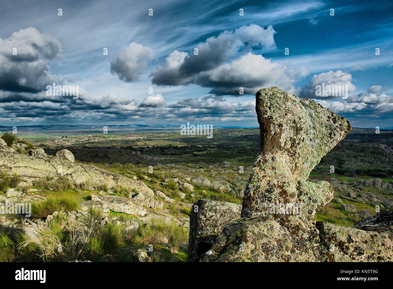 Nature environnement naturel Banque de photographies et d’images à ...