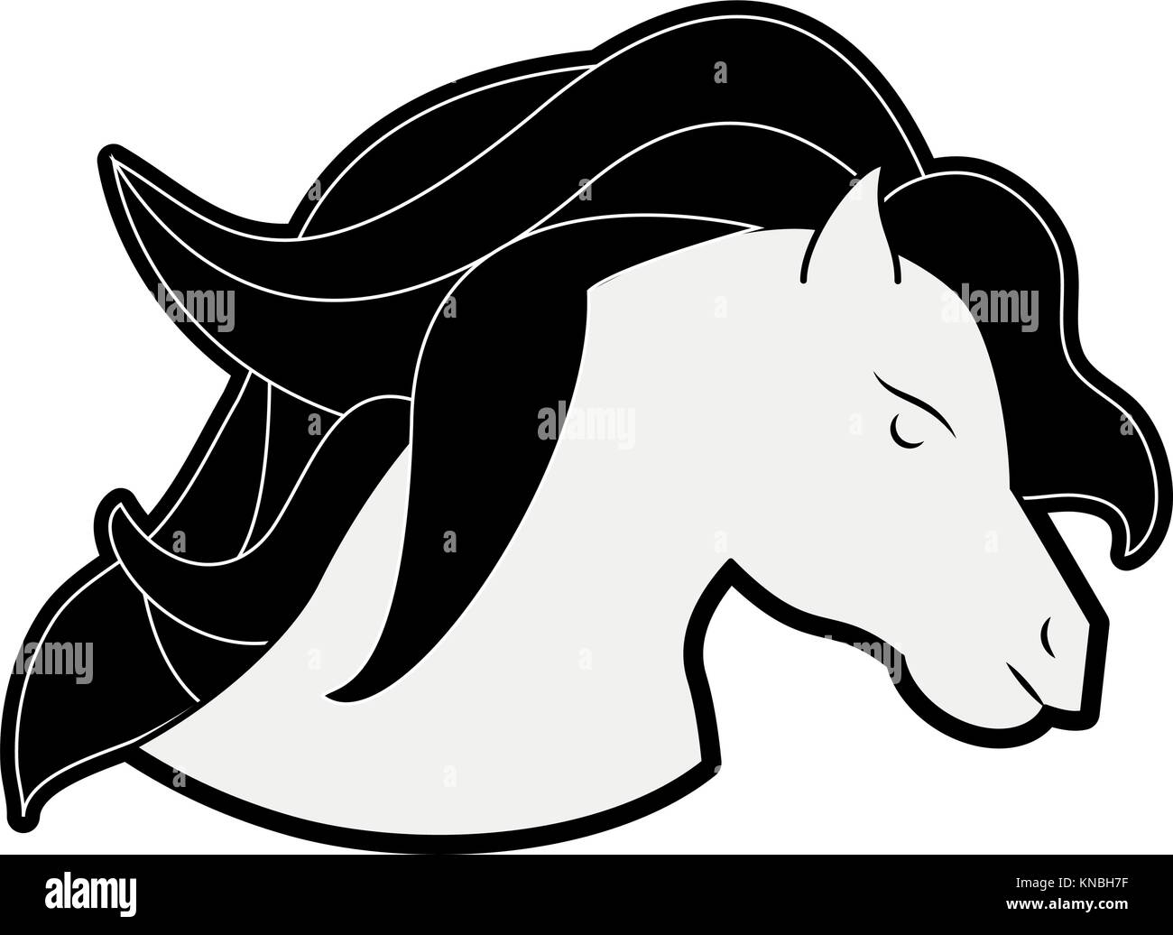 Cheval noir souriant Banque d'images vectorielles - Alamy