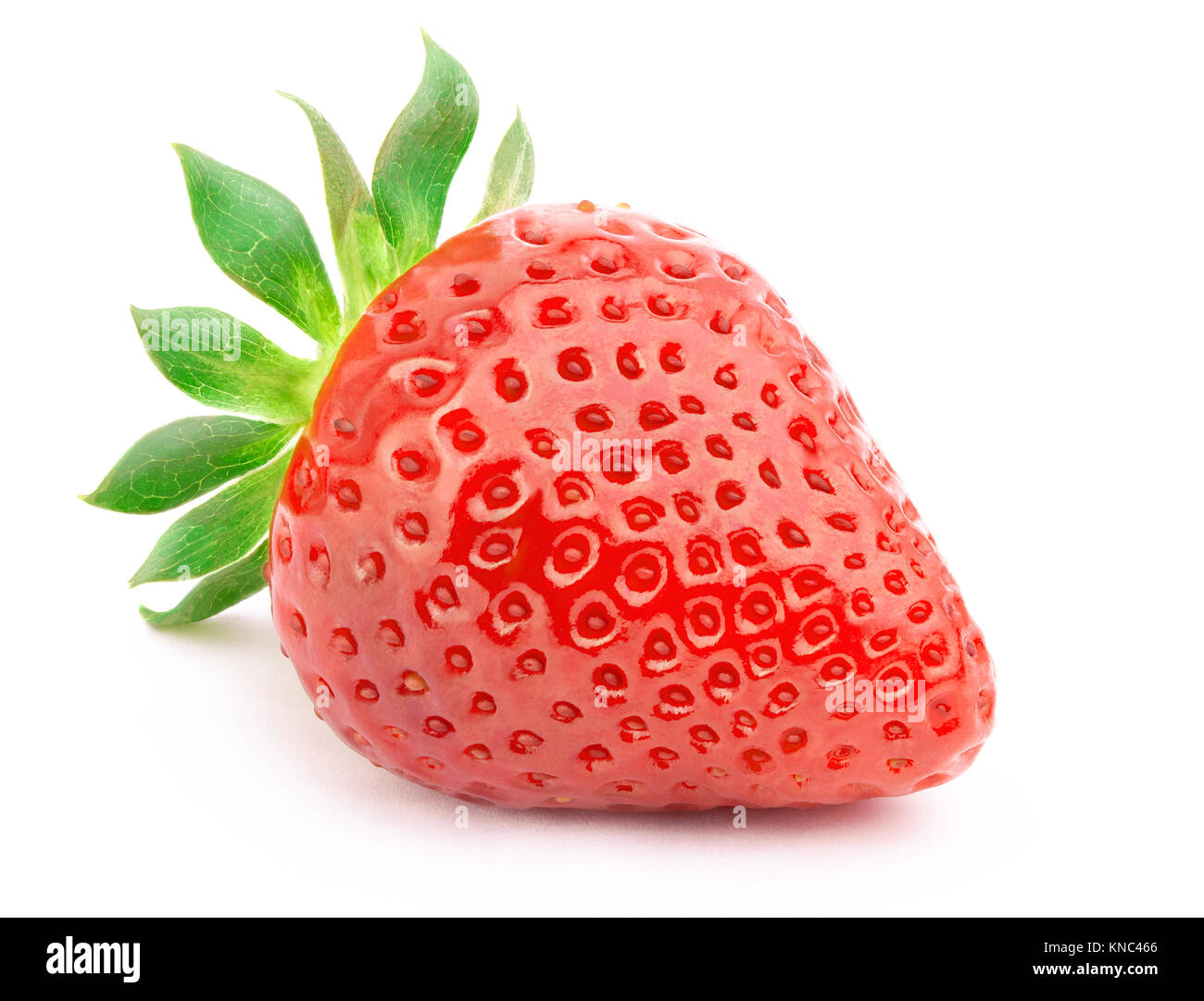 Feuilles de fraise Banque de photographies et d’images à haute ...