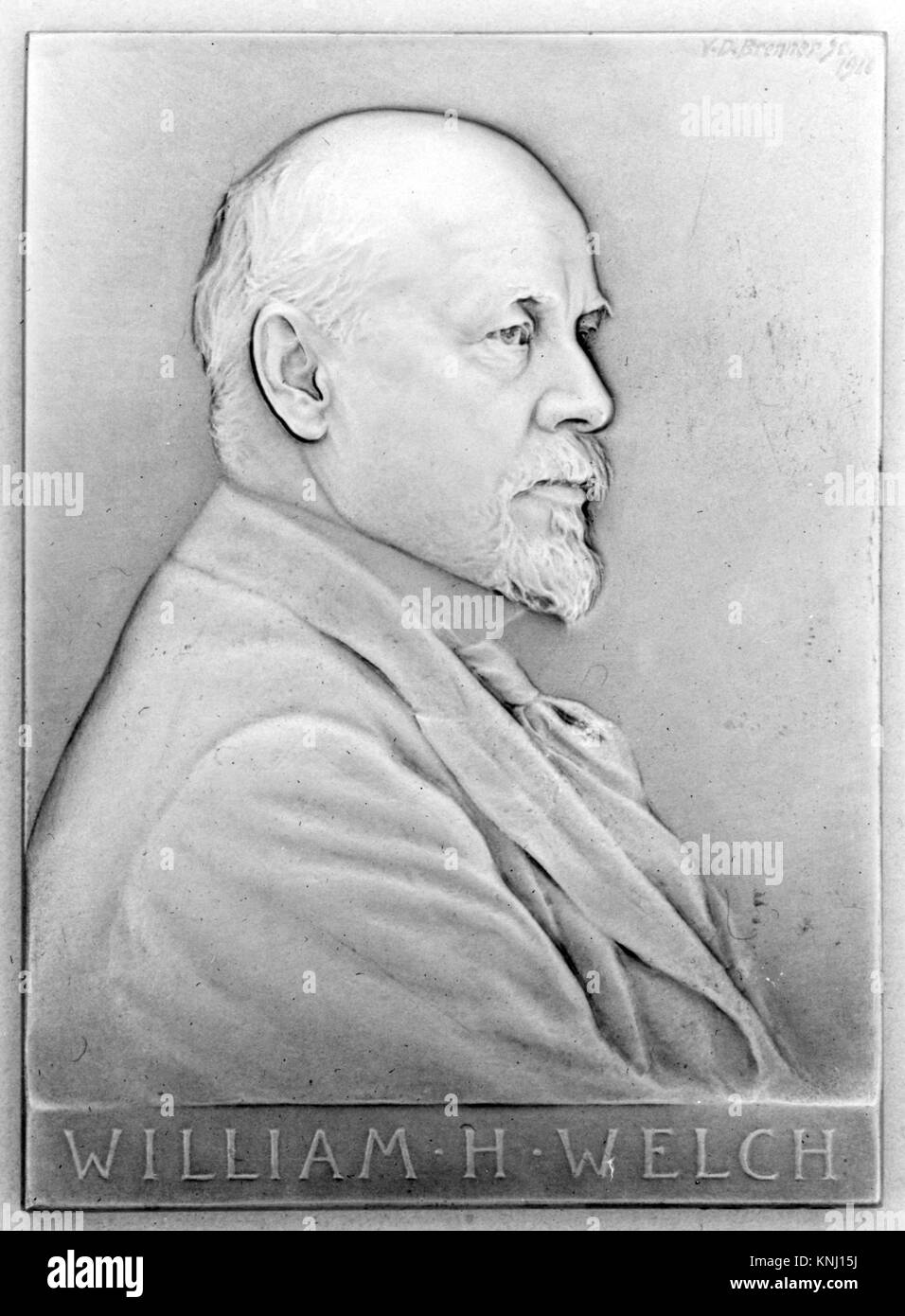 William Henry Welch Banque d'image et photos - Alamy