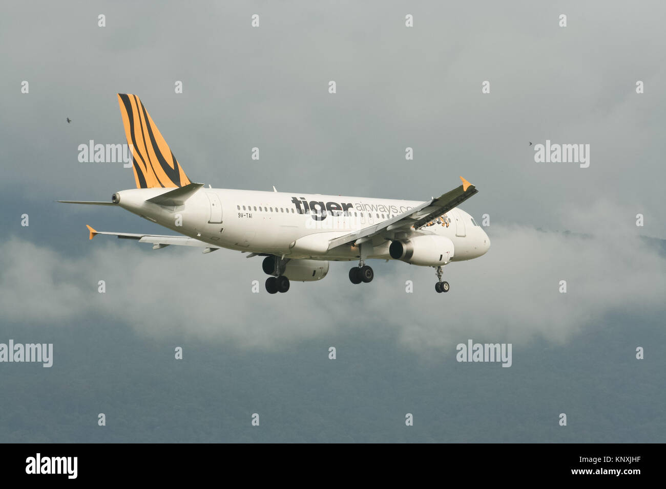 Tigerair airbus a320 Banque de photographies et d’images à haute ...