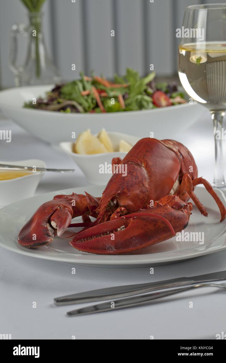 Repas de homard Banque de photographies et d’images à haute résolution ...