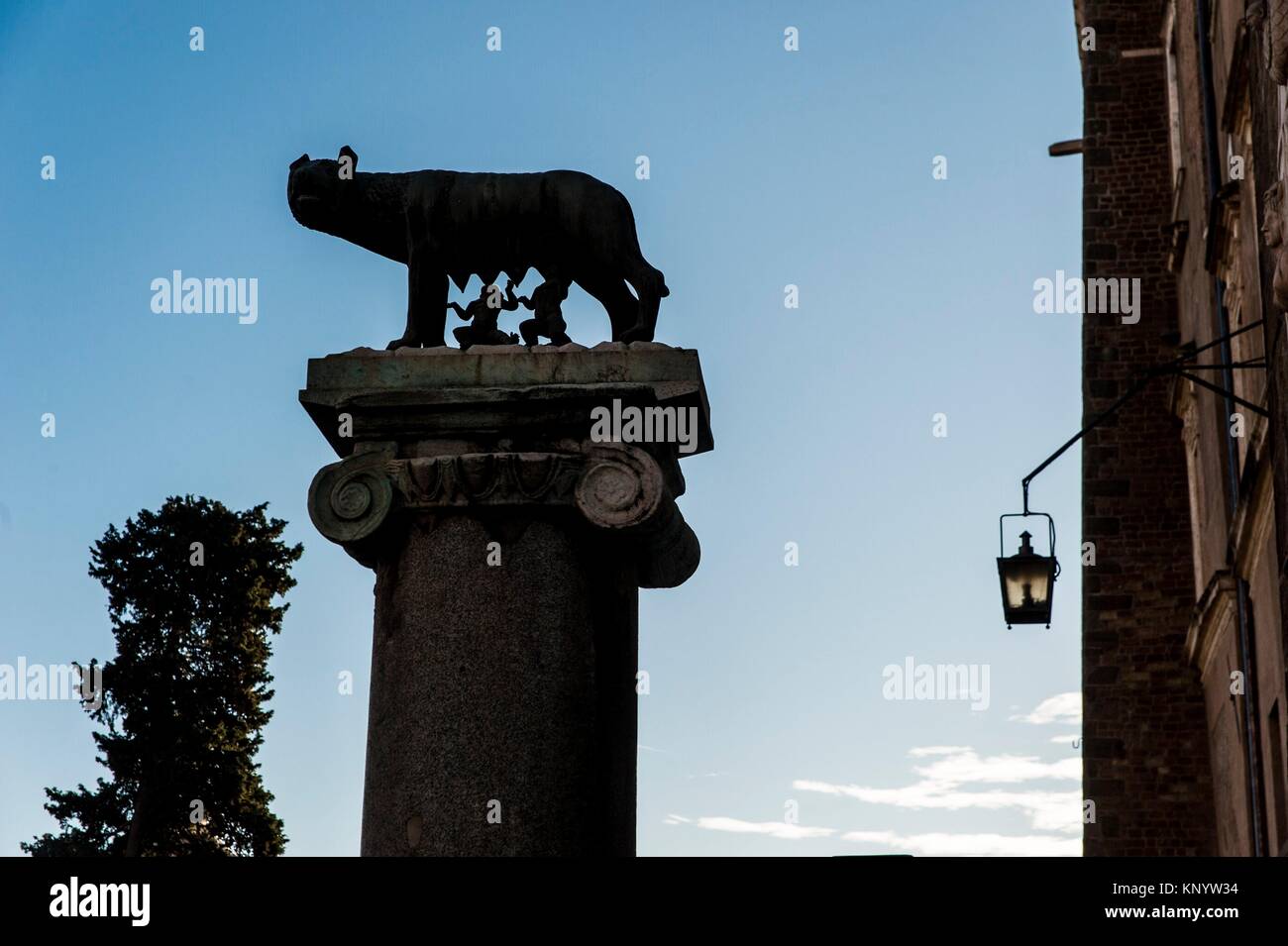 Louve capitoline Banque de photographies et d’images à haute résolution ...
