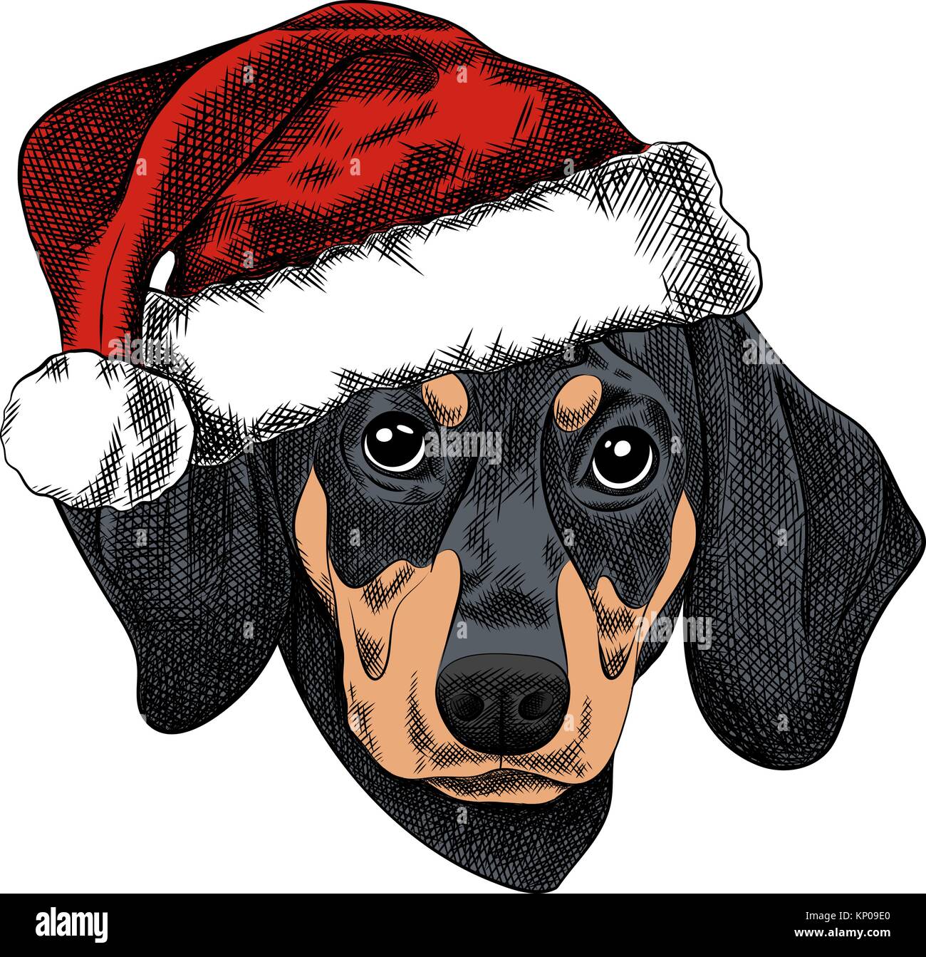 Vector illustration d'un teckel chien pour une carte de Noël. Teckel ...