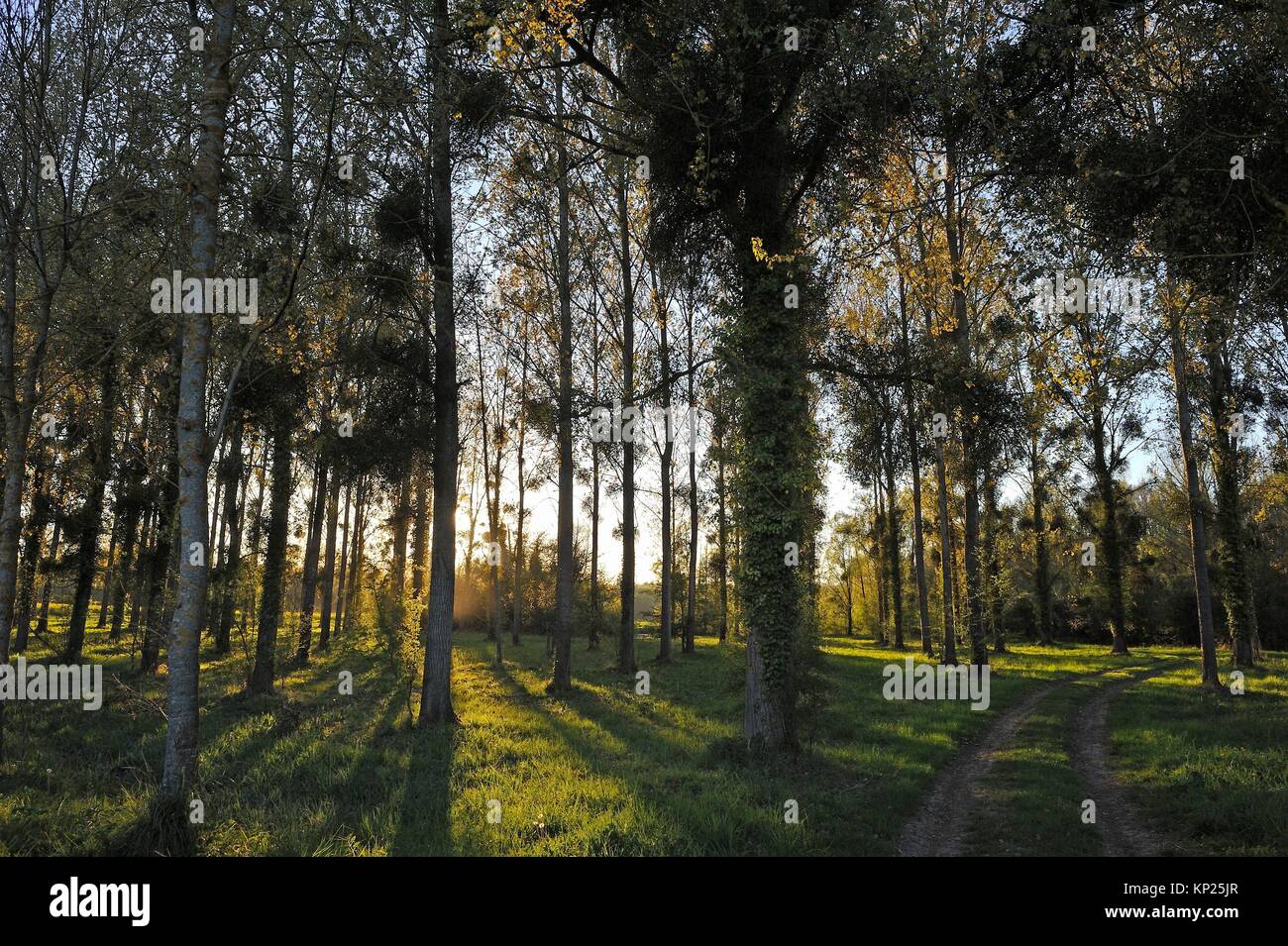 Eure valley Banque de photographies et d’images à haute résolution - Alamy