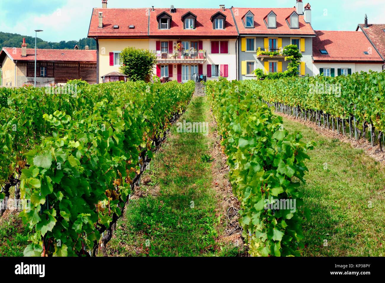 Aubonne Canton Of Vaud Banque d'image et photos - Alamy