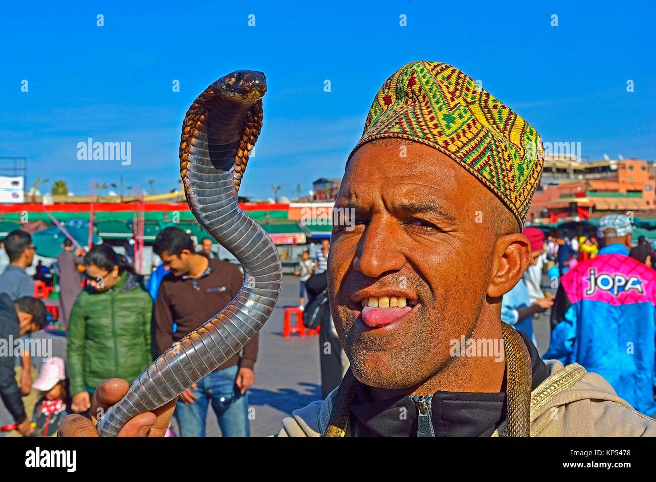 Moroccan cobra Banque de photographies et d’images à haute résolution ...