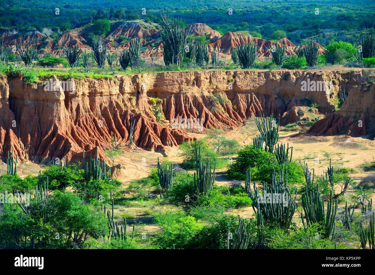 Desert desierto tatacoa colombia Banque de photographies et d’images à ...
