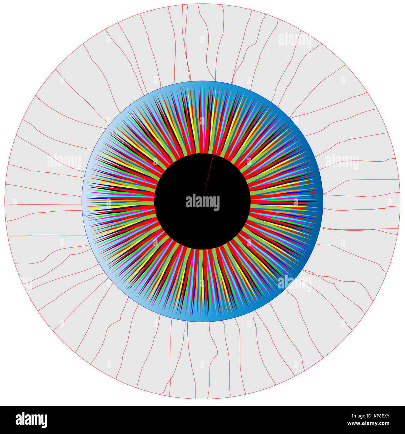 œil injecté de sang yeux Banque de photographies et d’images à haute ...