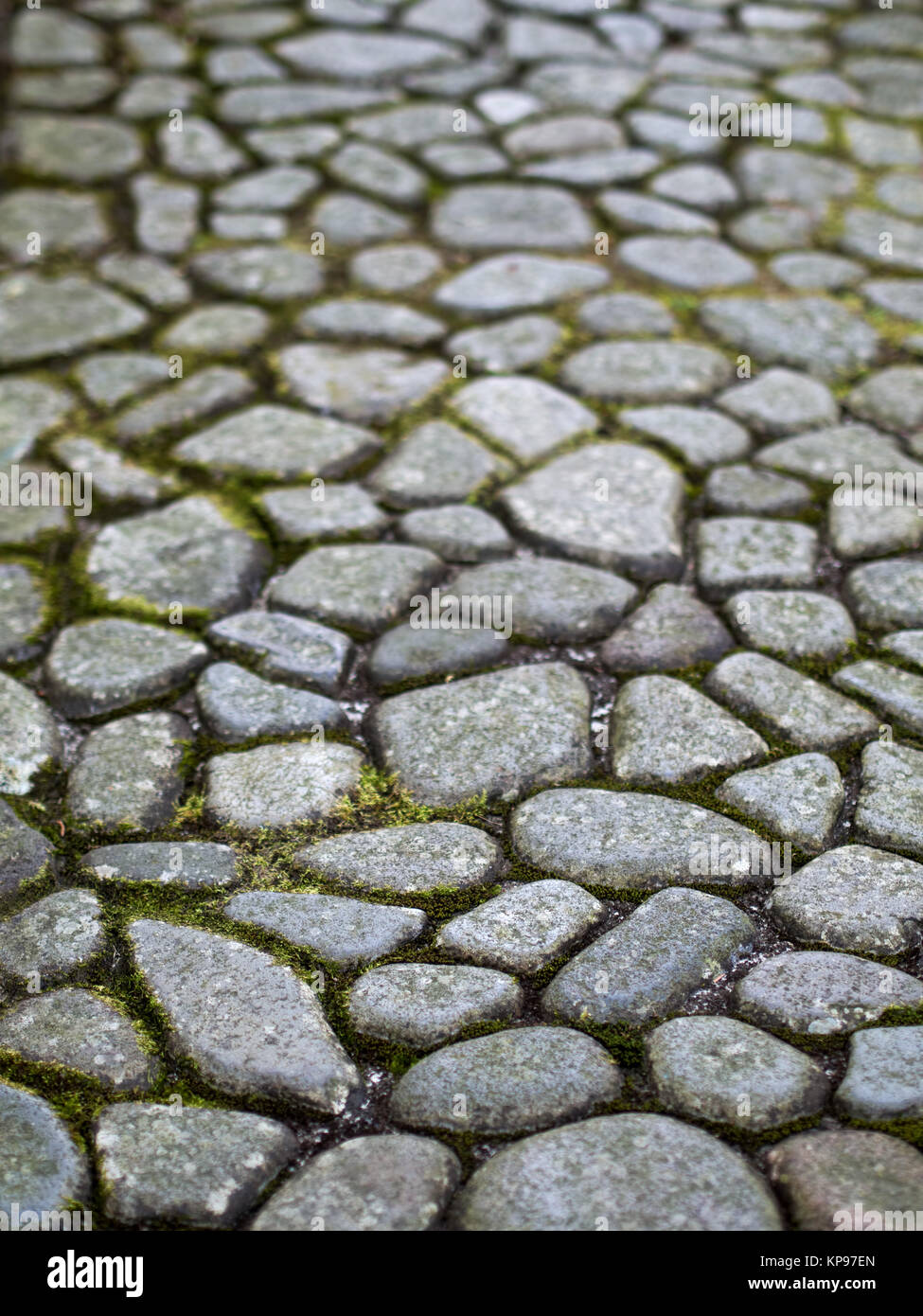 Paved pattern Banque de photographies et d’images à haute résolution ...
