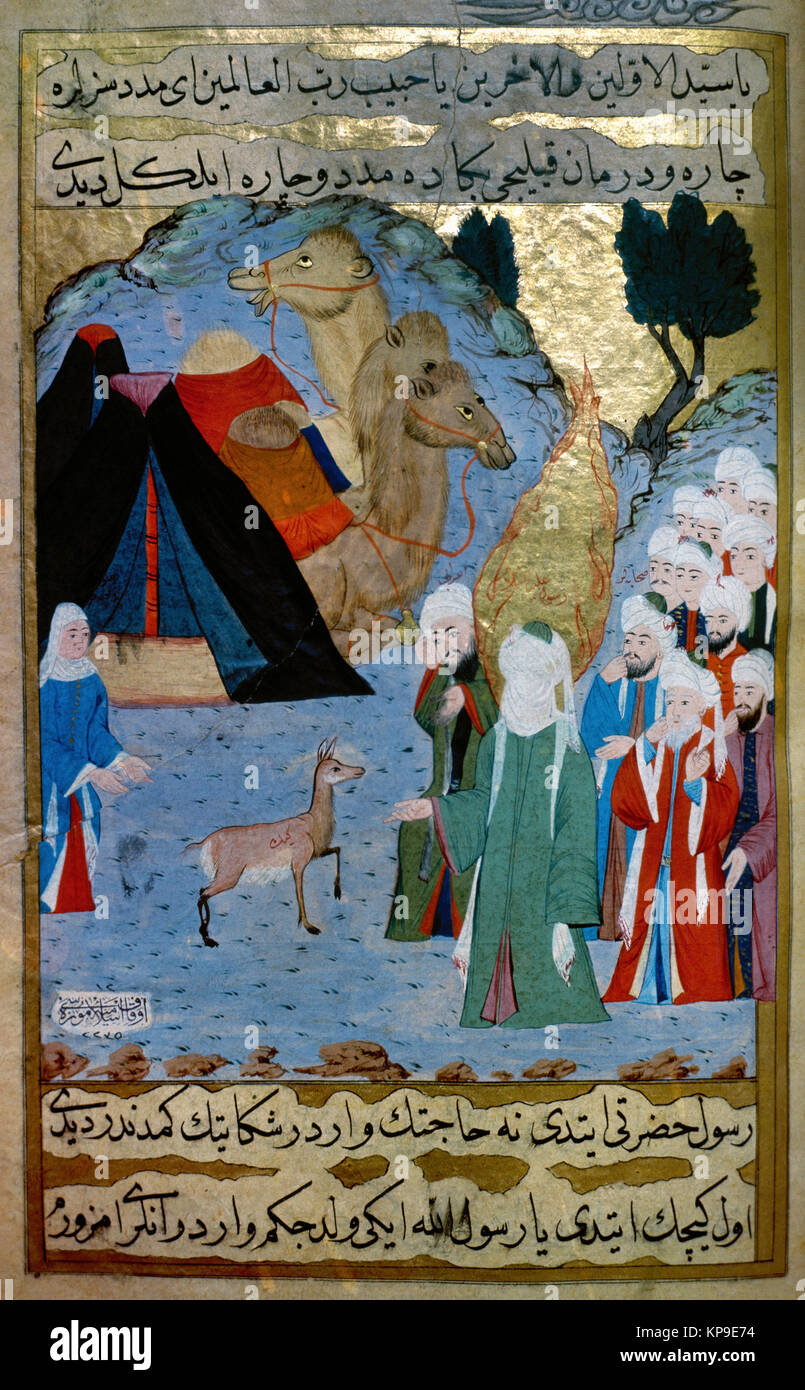 Muhammad entend les pleurs d'un faon. Vie du Prophète. Période Ottomane ...