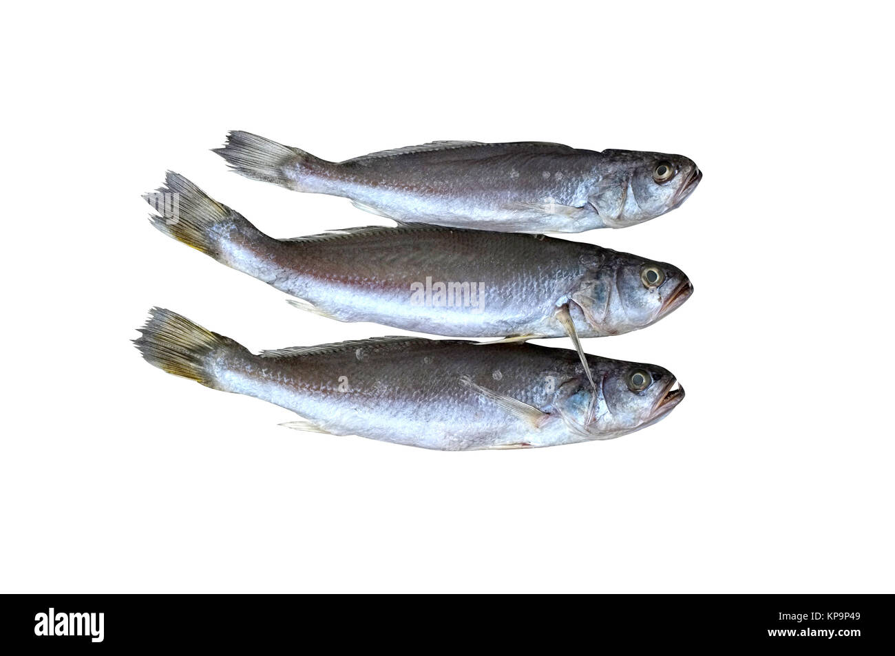 Dehydrated fish Banque d'images détourées - Alamy