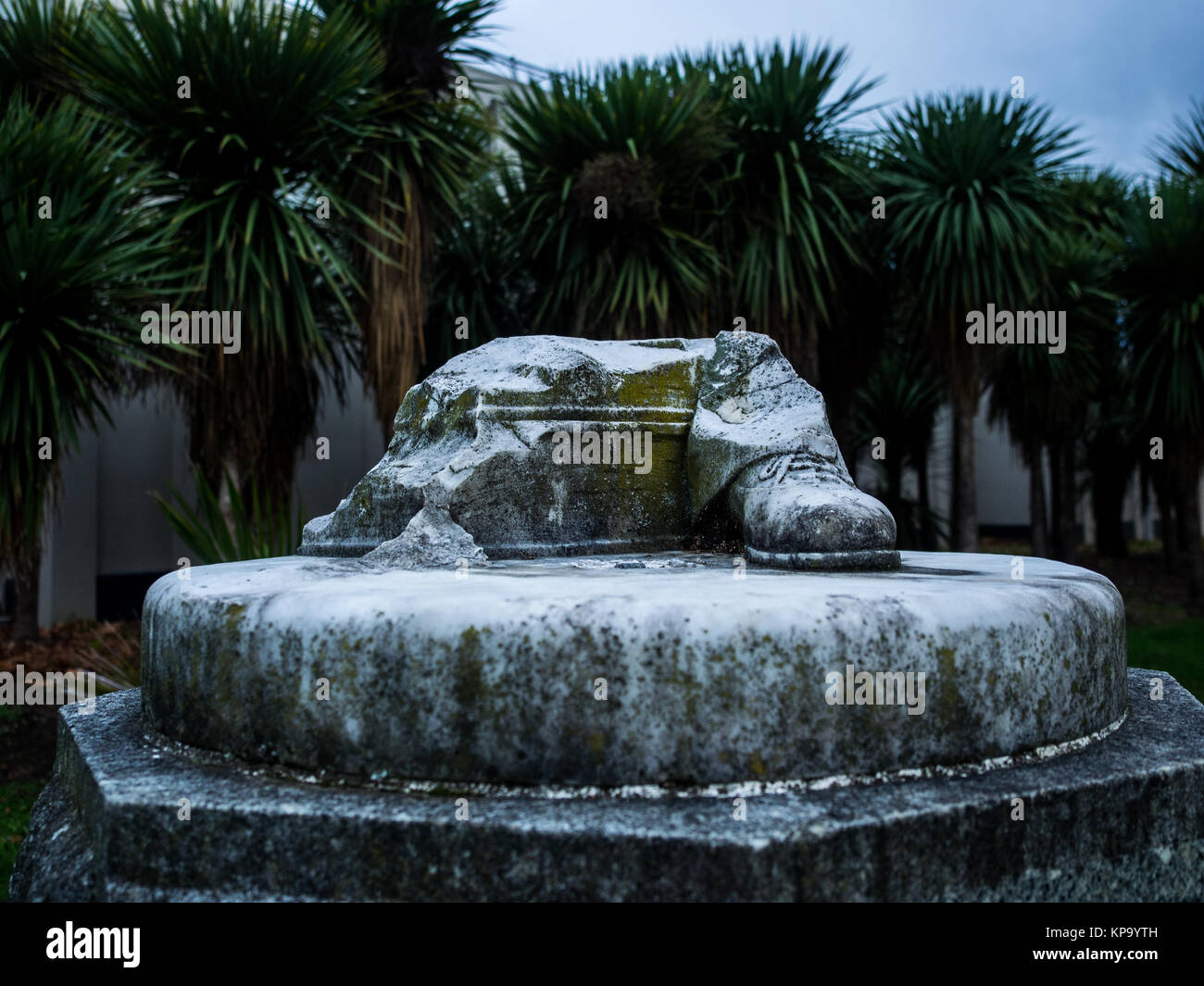 Occupation maori de protestation Banque de photographies et d’images à ...