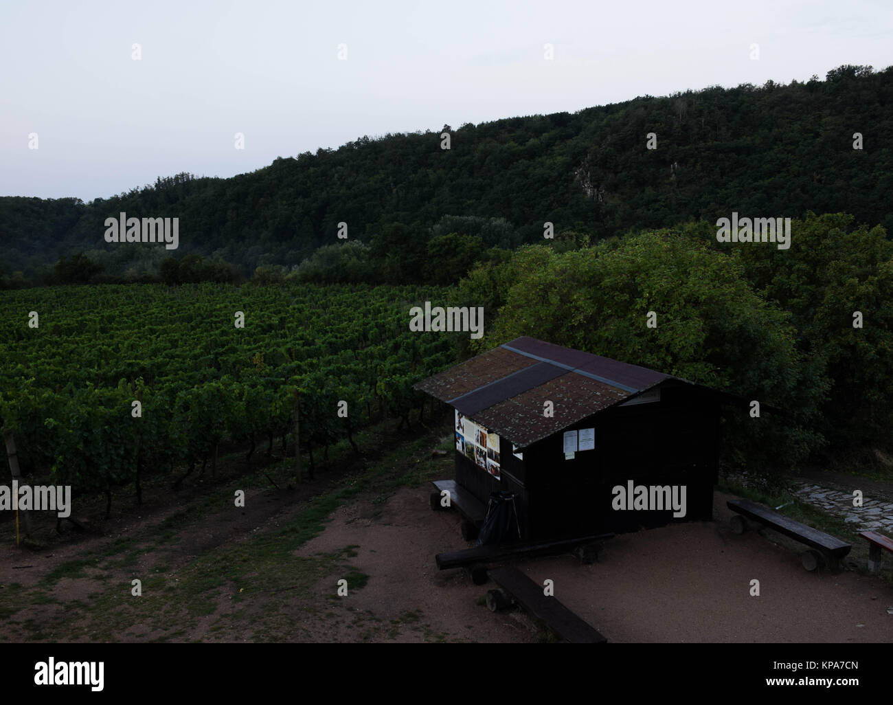 Narodni park podyji Banque de photographies et d’images à haute ...