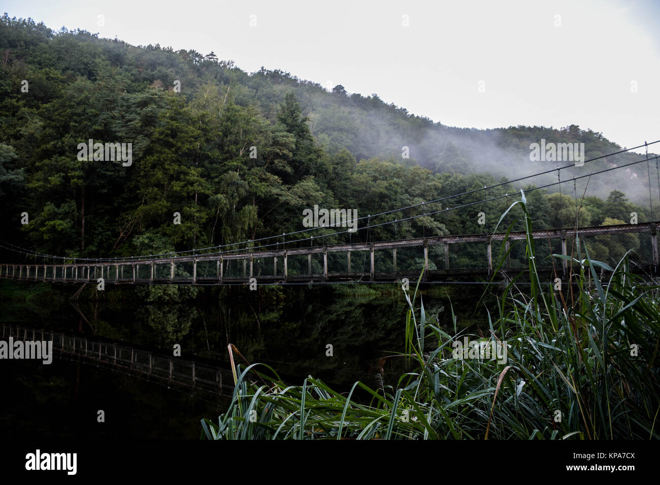 Parc narodni podyji Banque de photographies et d’images à haute ...