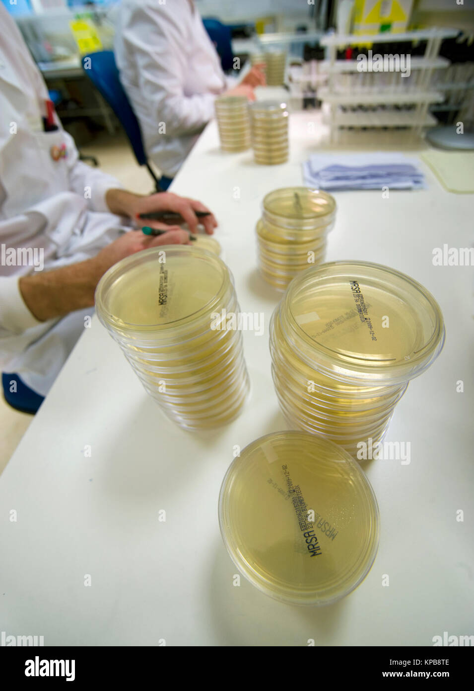 Pathologie anatomique Banque de photographies et d’images à haute ...