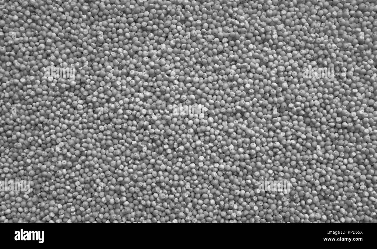 Grain de mil Banque d'images noir et blanc - Alamy