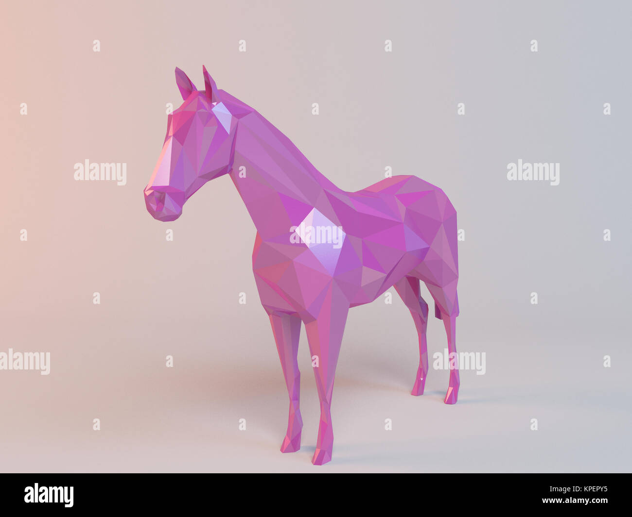 Cheval poly Banque de photographies et d’images à haute résolution - Alamy