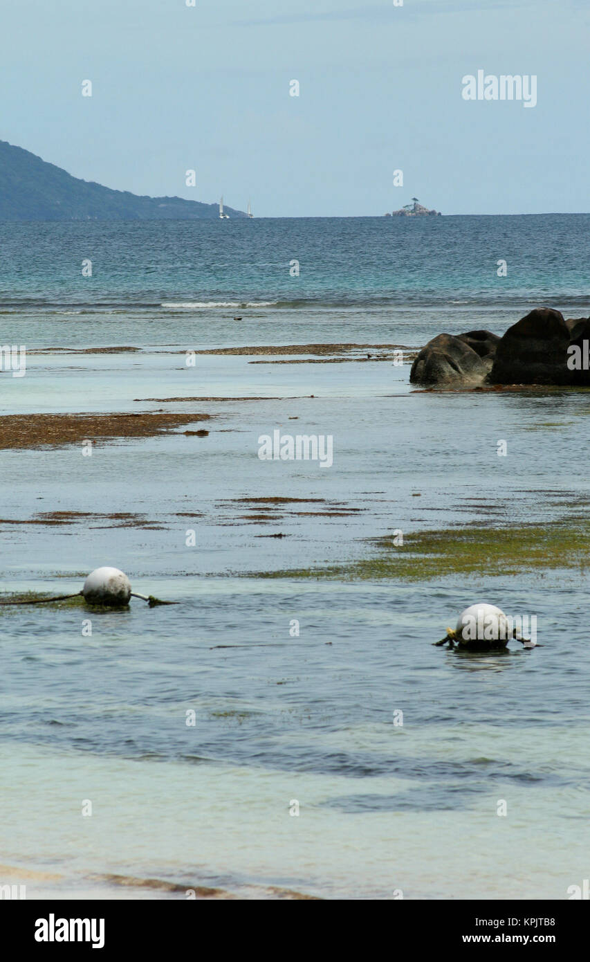 Plage de filet de requin Banque de photographies et d’images à haute ...