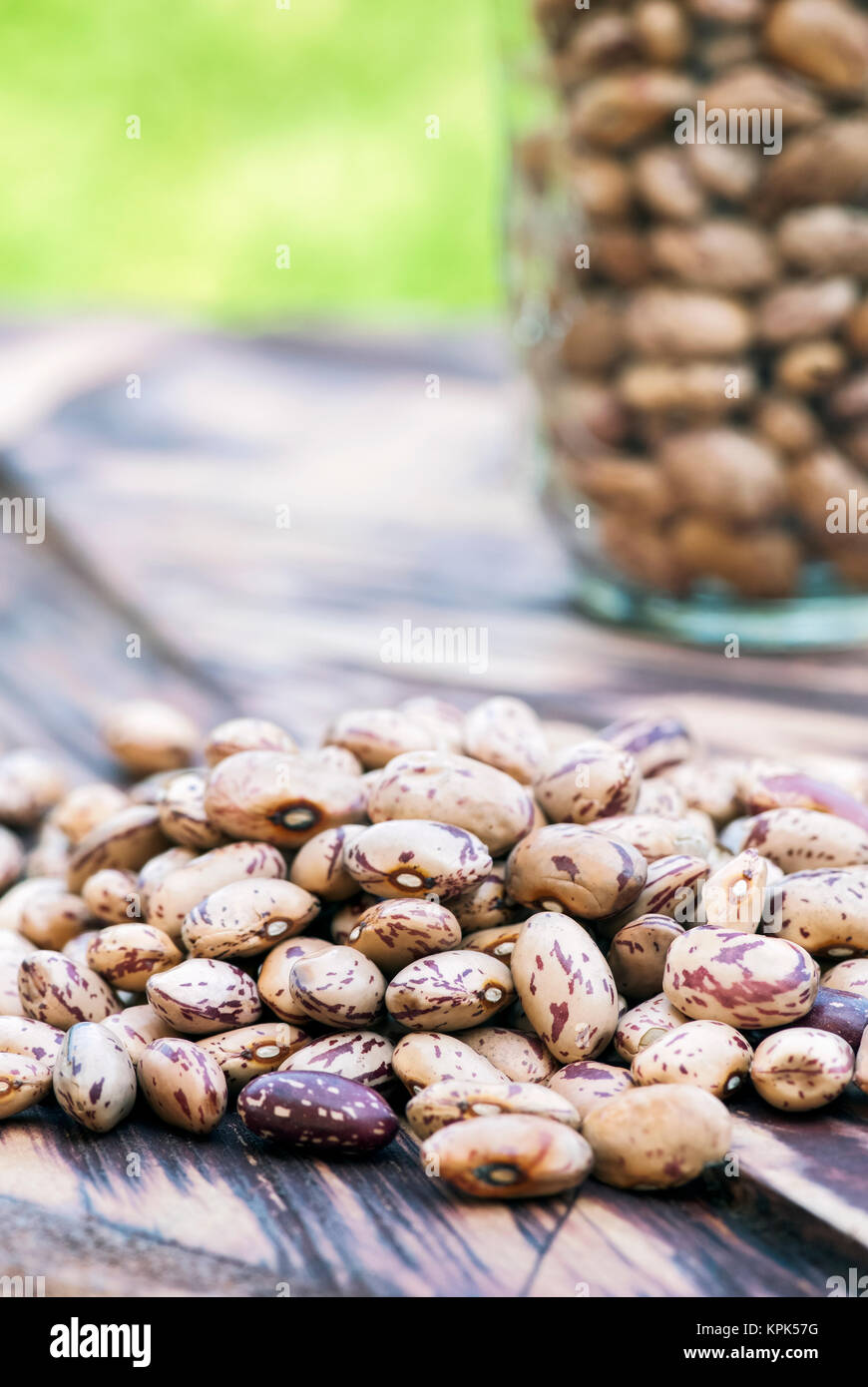 Haricots romano Banque de photographies et d’images à haute résolution ...