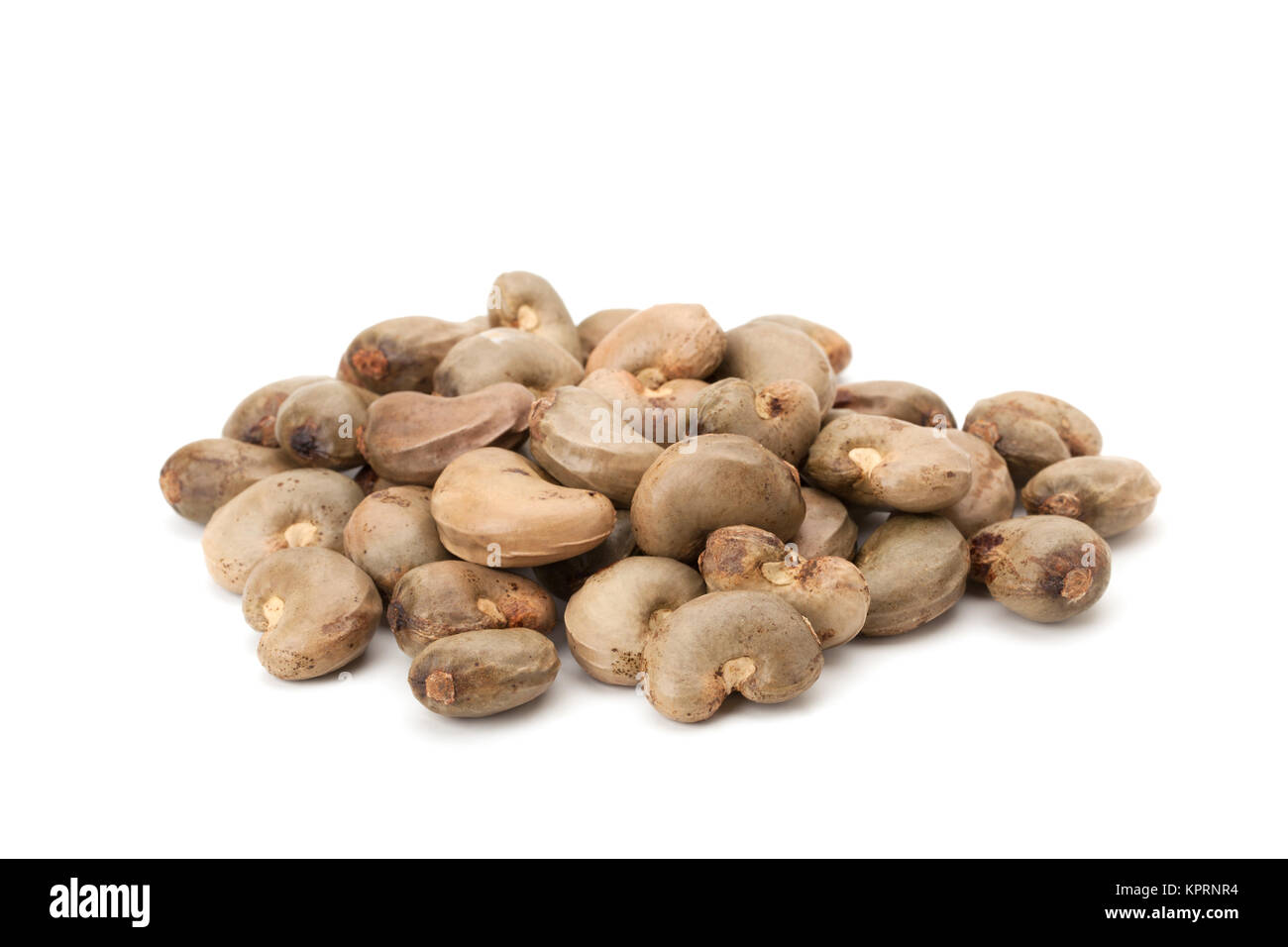 Caju brésilien ou semences Semences de cajou Photo Stock - Alamy