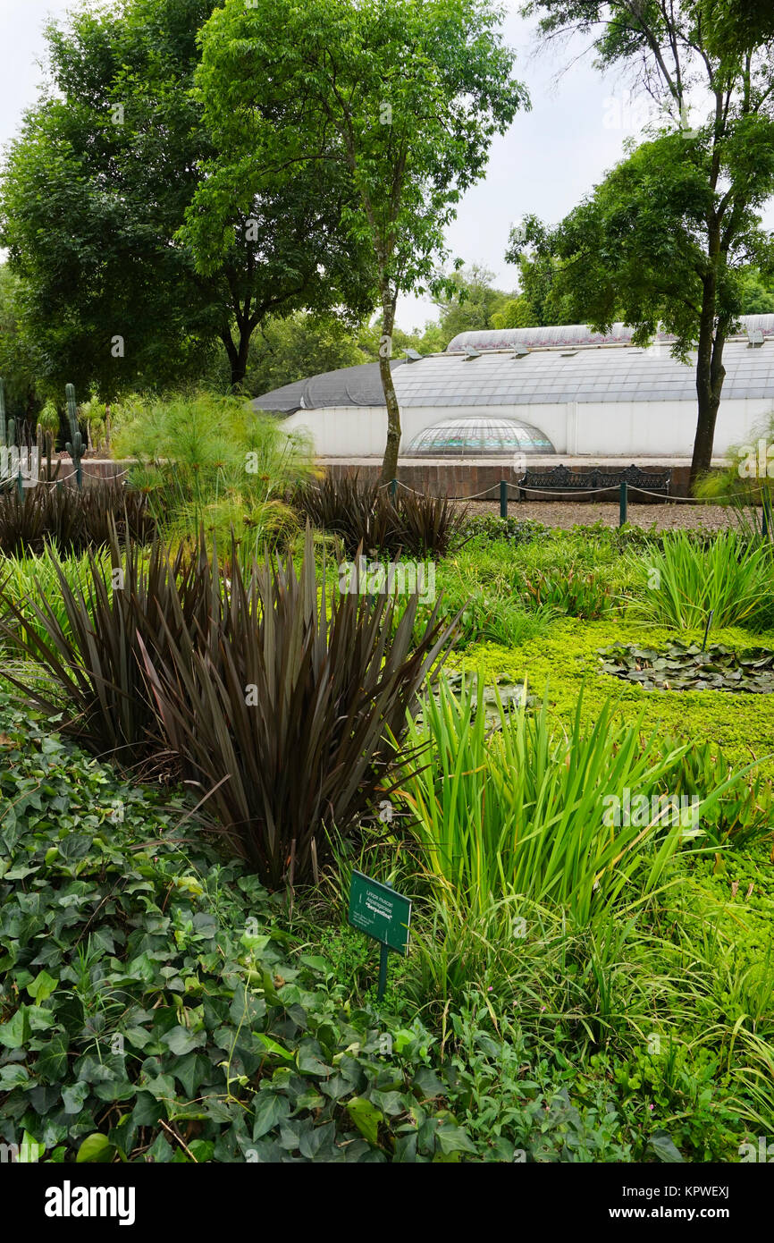 Jardin botanique du bosque de chapultepec Banque de photographies et d ...