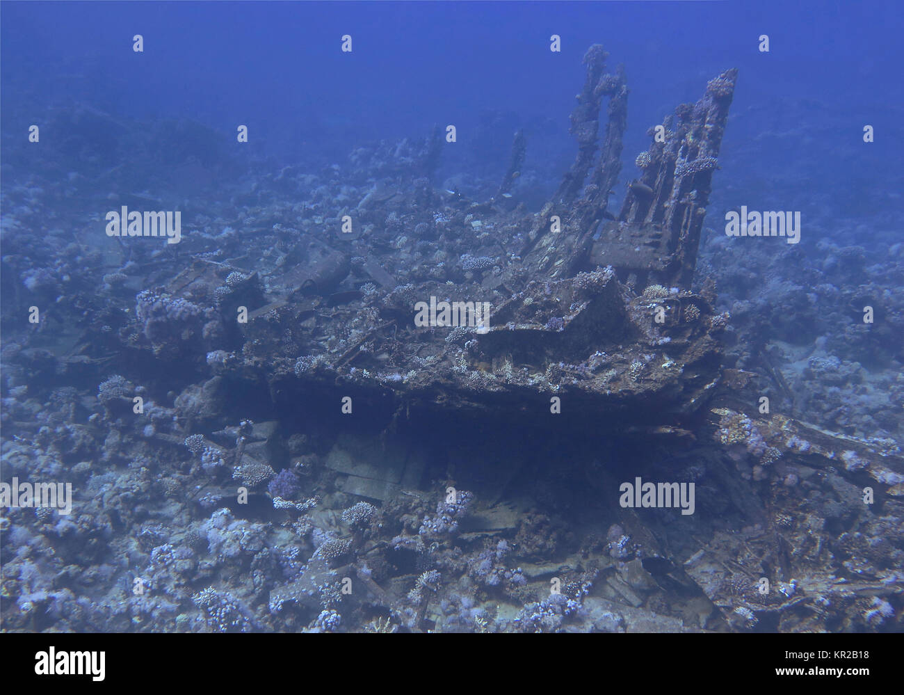 Uw foto Banque de photographies et d’images à haute résolution - Alamy