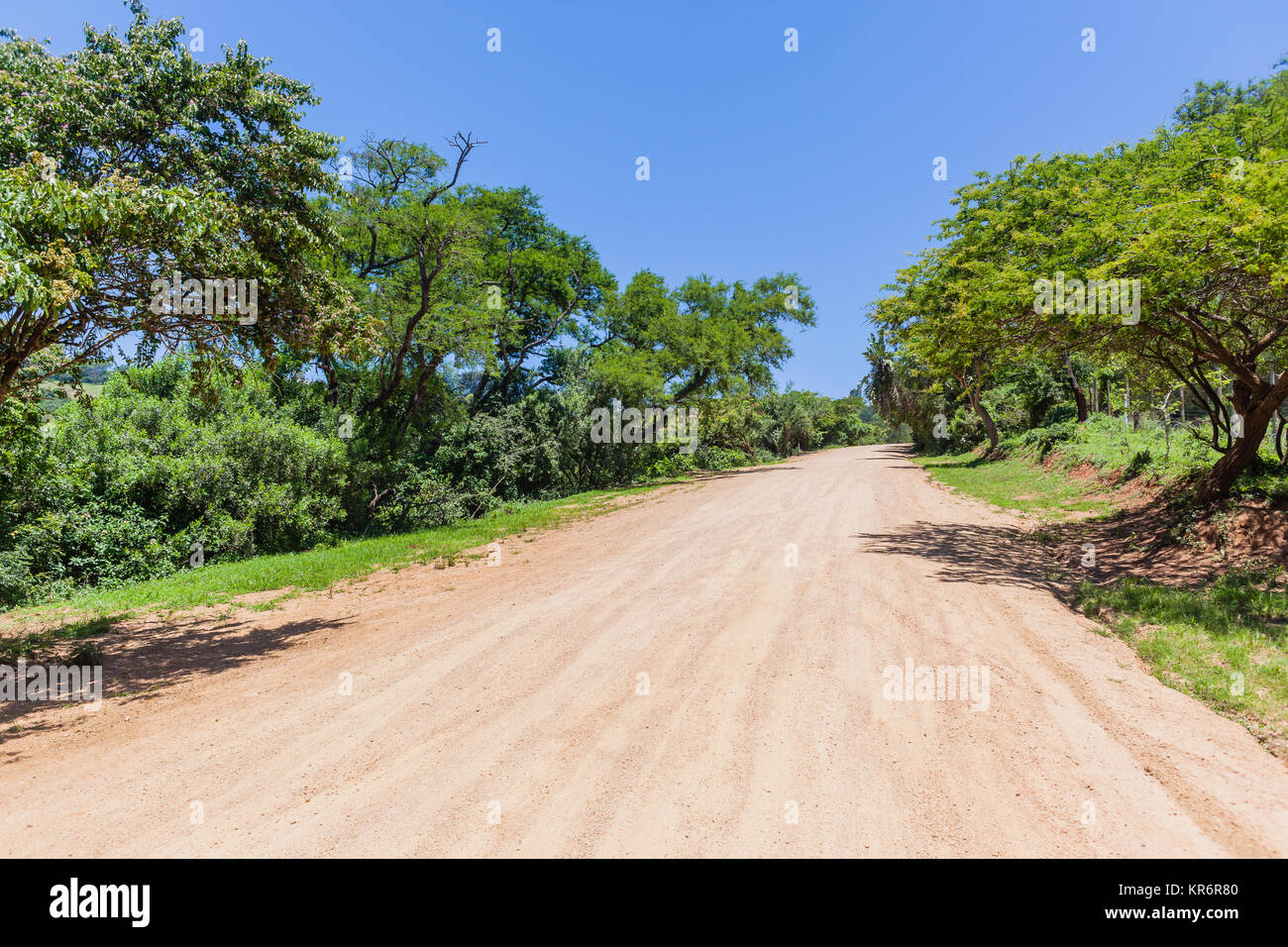 Route de terre rurale montée hors de vallée à travers les arbres d'été ...